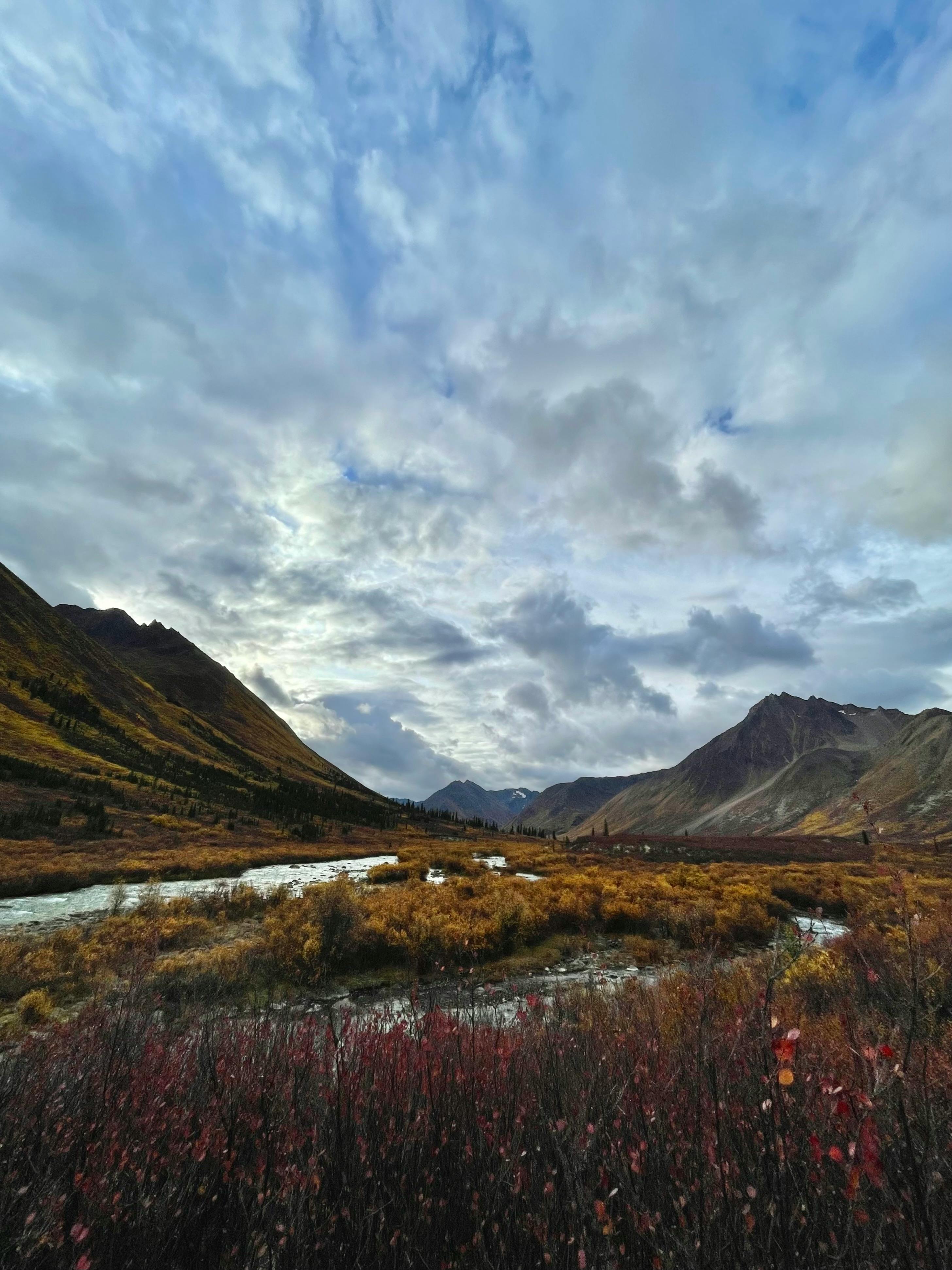 Valley with River · Free Stock Photo