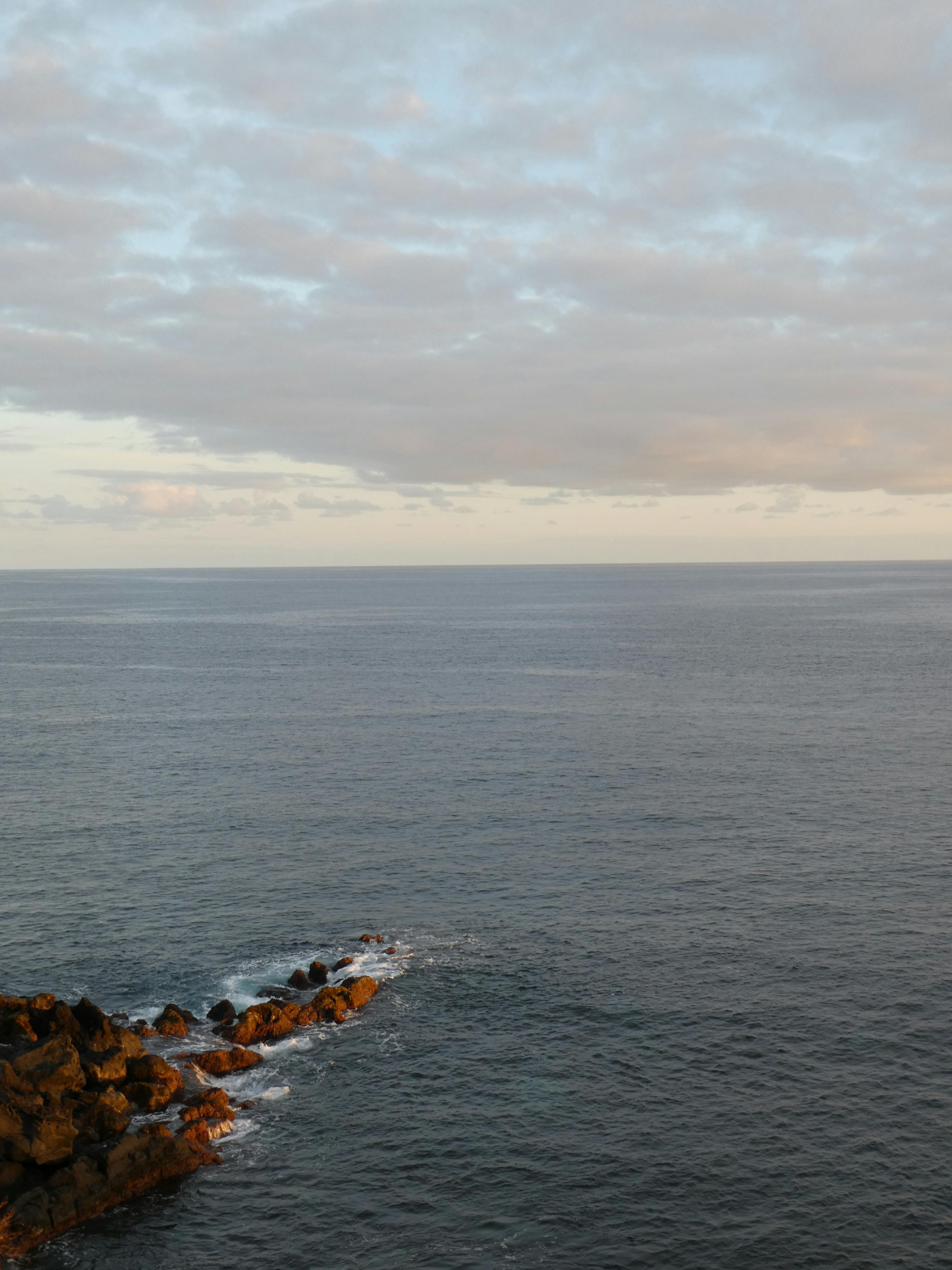 Beautiful Tip Photos, Download The BEST Free Beautiful Tip Stock Photos ...