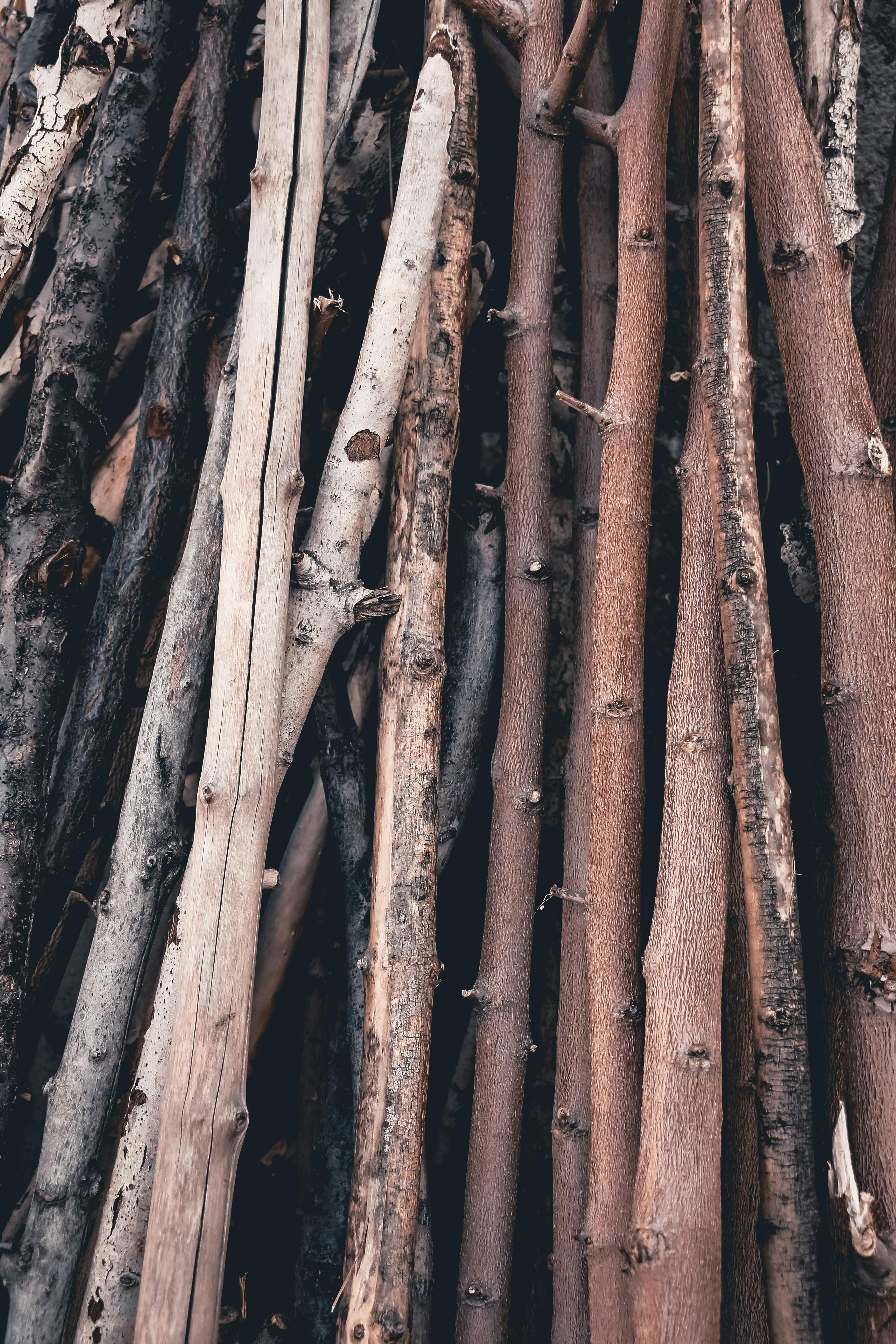 Close-up of a Pile of Twigs · Free Stock Photo
