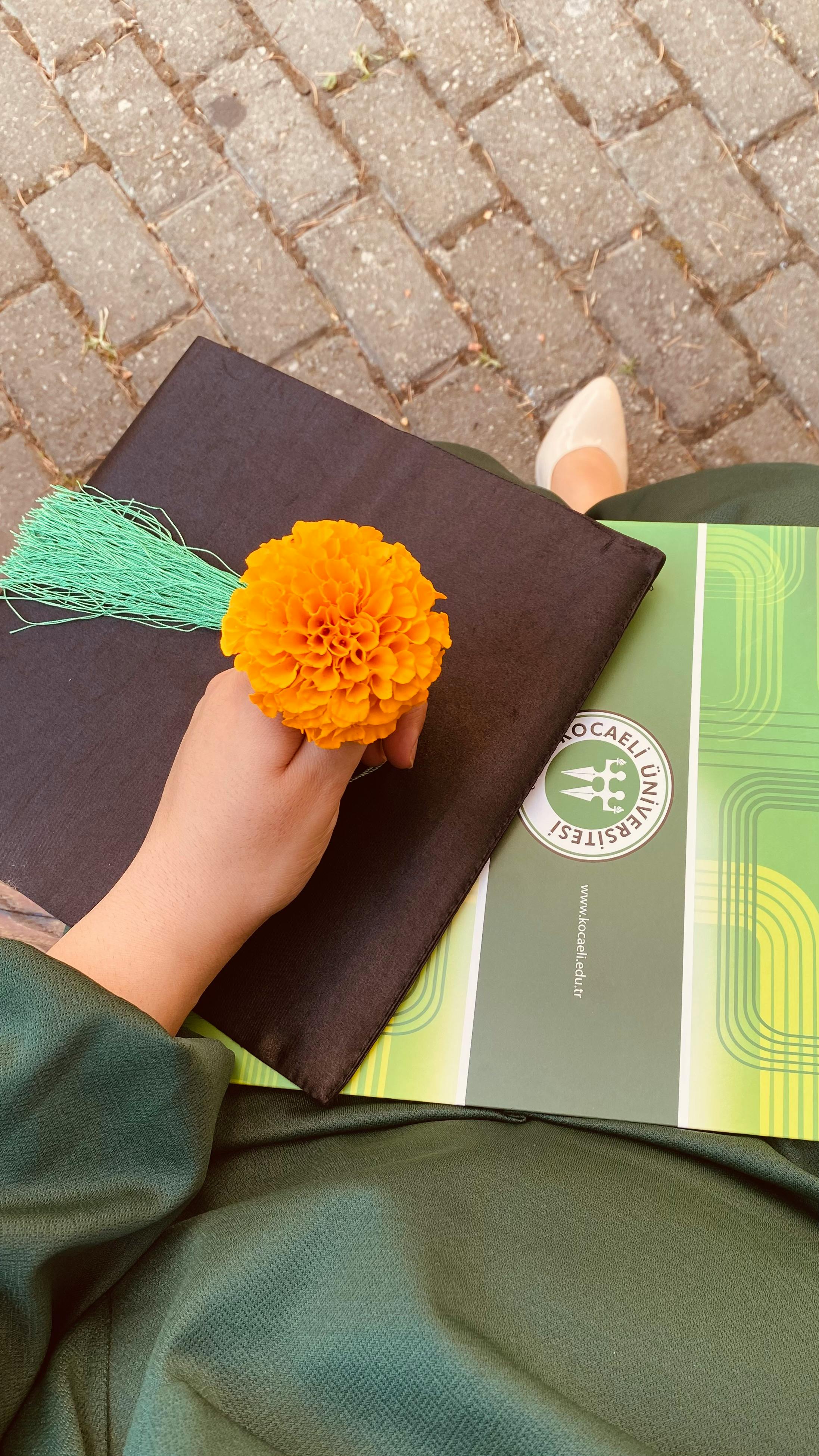 Diploma Photos, Download The BEST Free Diploma Stock Photos & HD Images