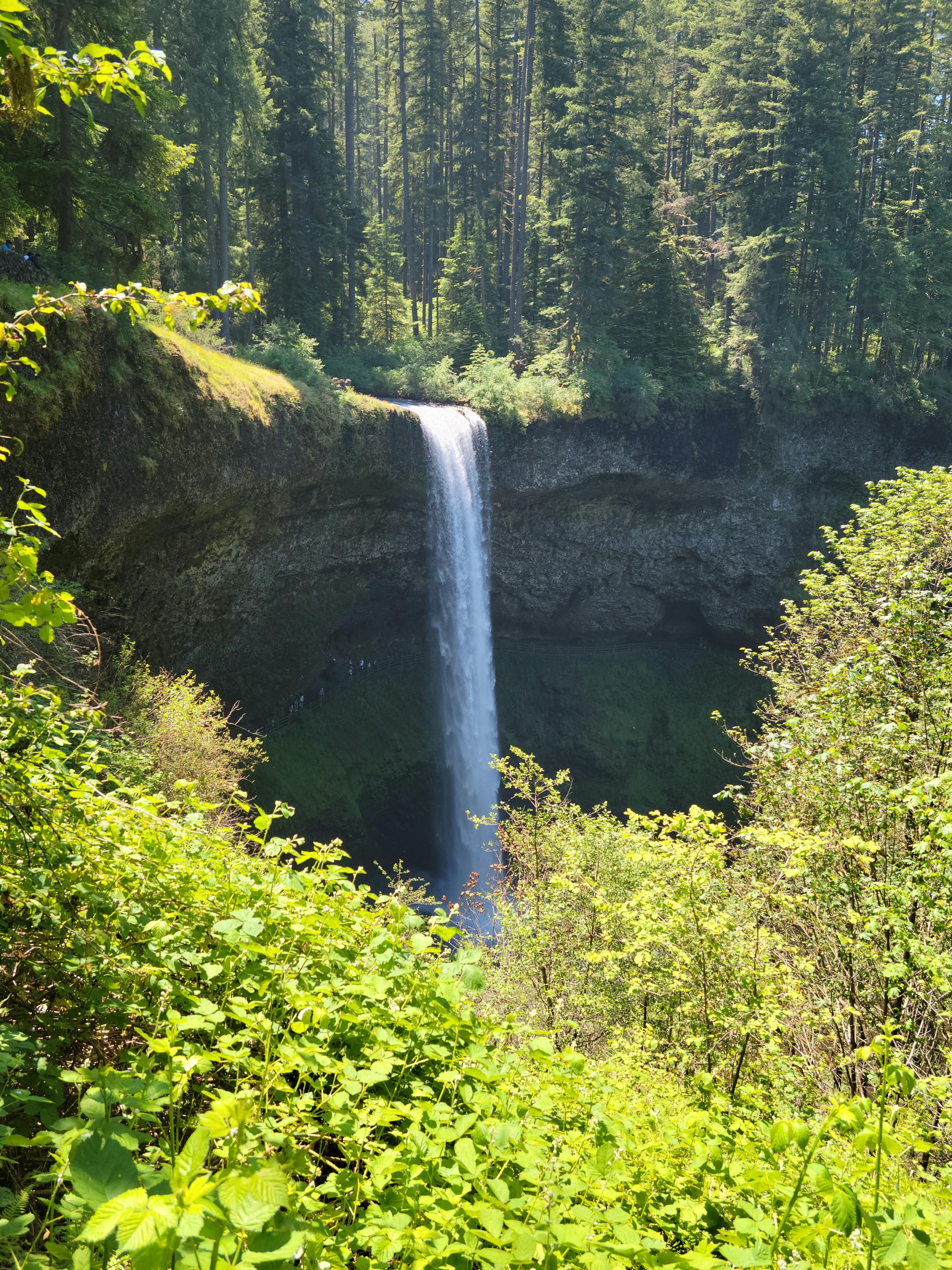 Waterfalls in the Forest · Free Stock Photo