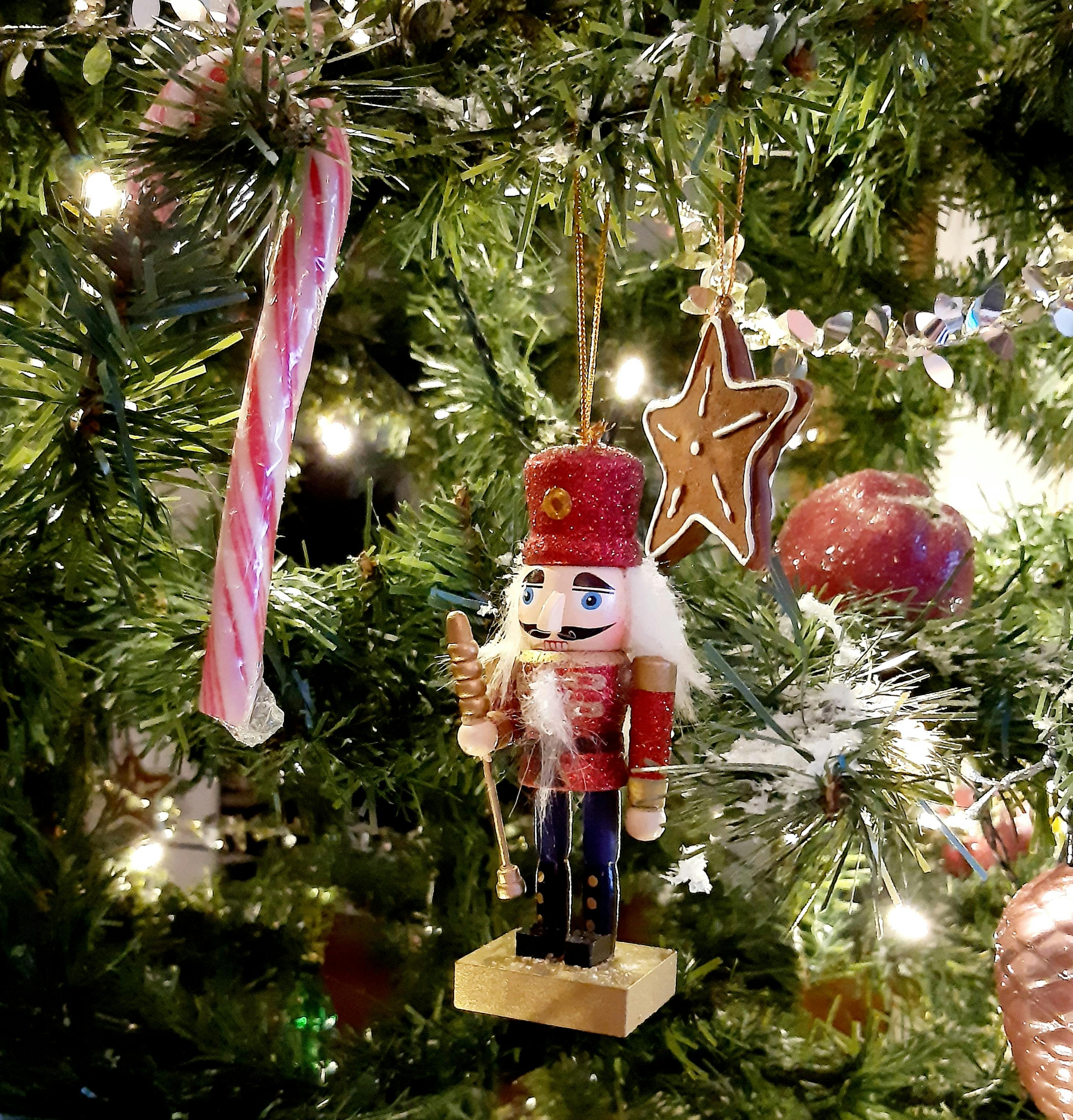 MARIA BUTERA - Photographie