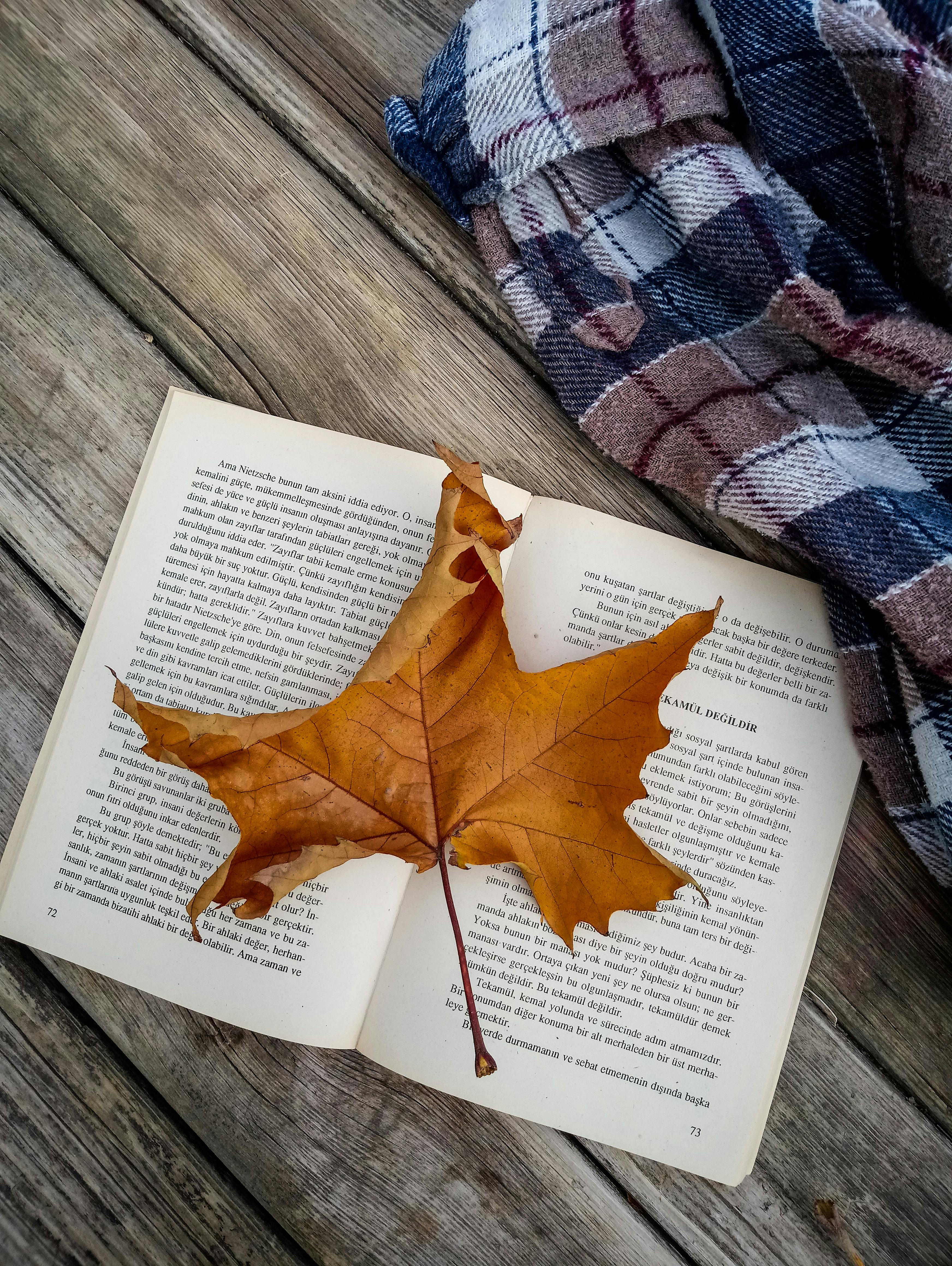 Flying Book With A Maple Leaf Photos, Download The BEST Free Flying ...