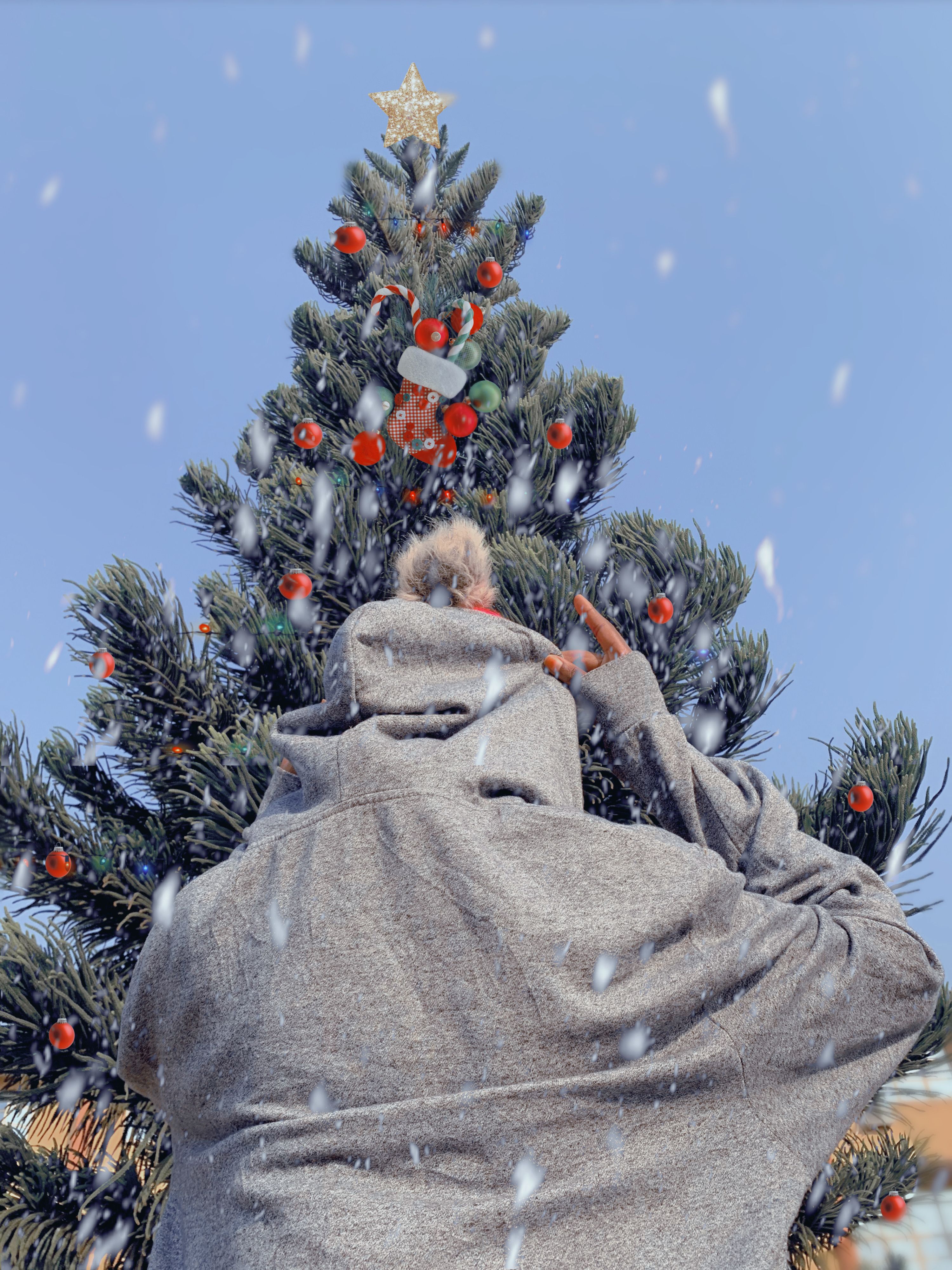 Person at Christmas Tree · Free Stock Photo