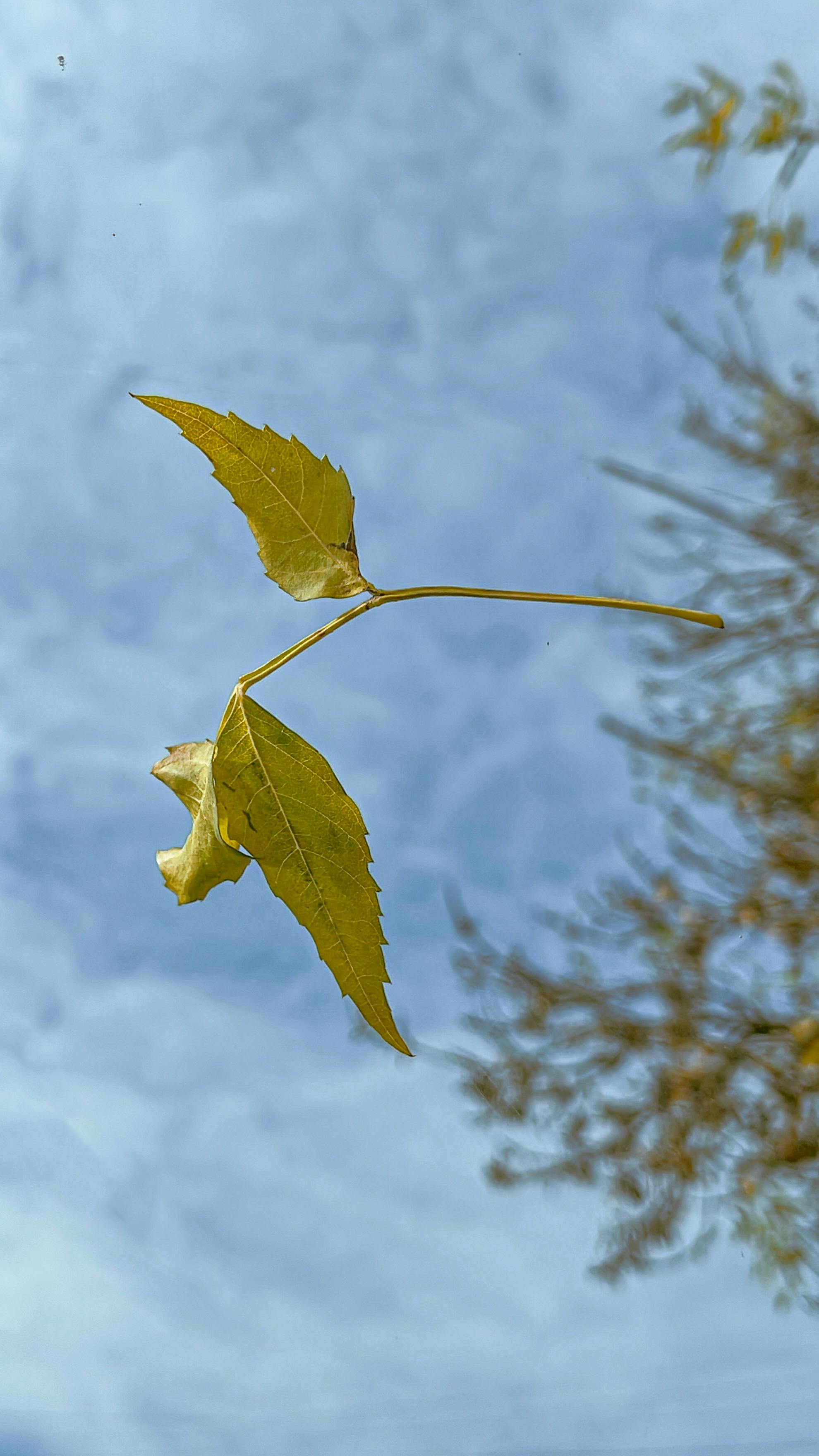 Omair Tabikh - Photography