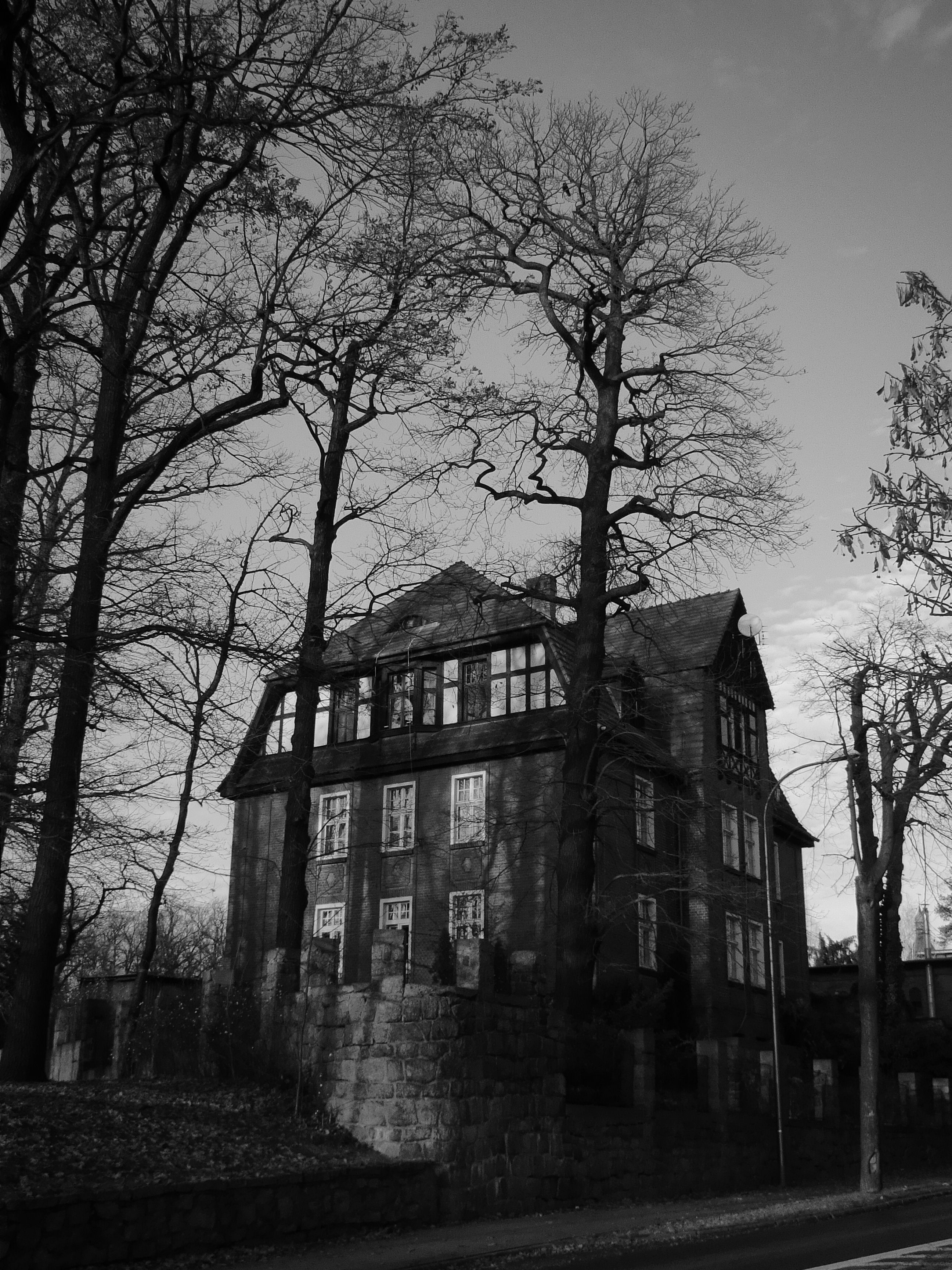 Dreary Building among Barren Trees · Free Stock Photo