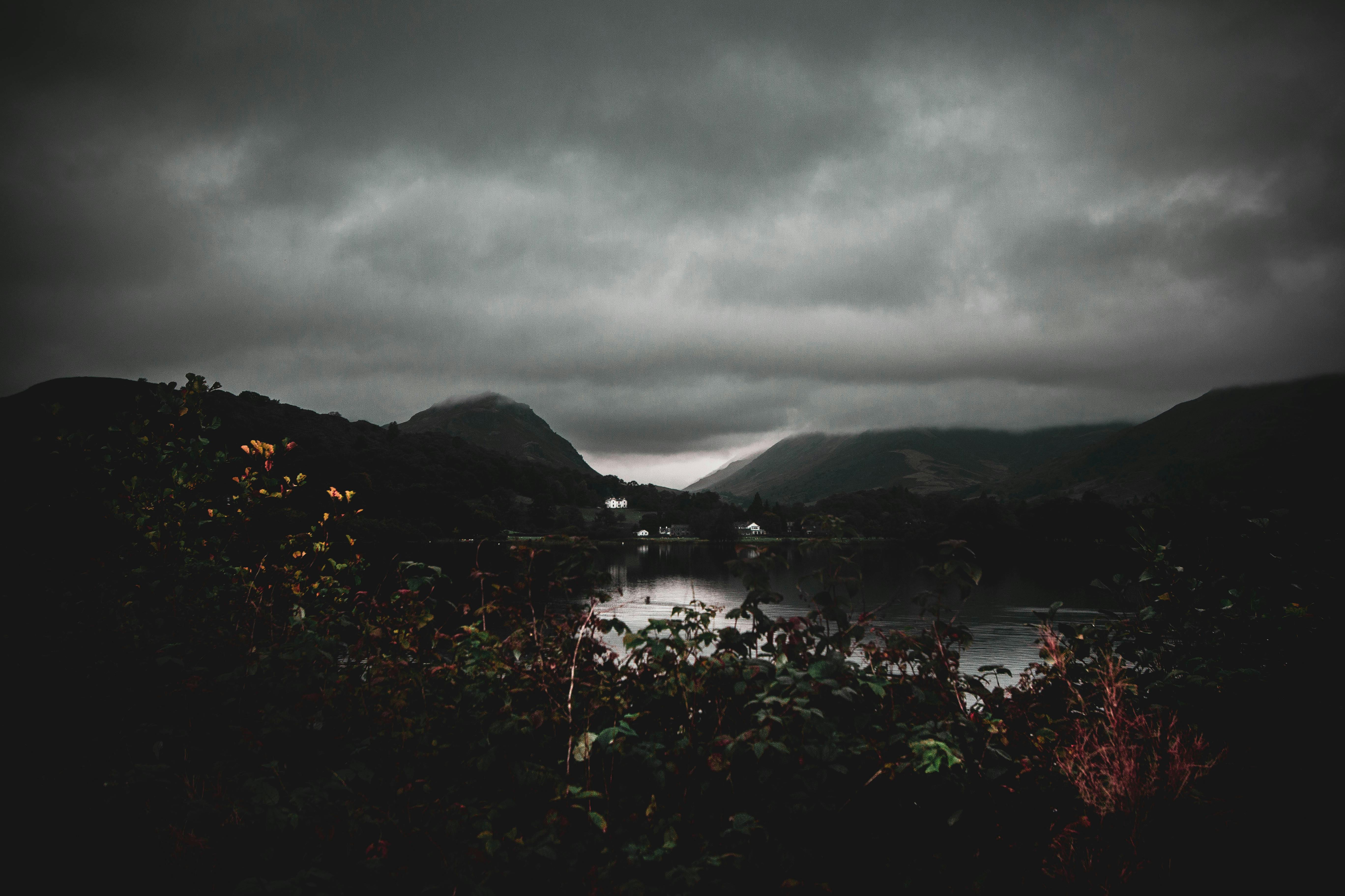 Cat Crawford - 写真