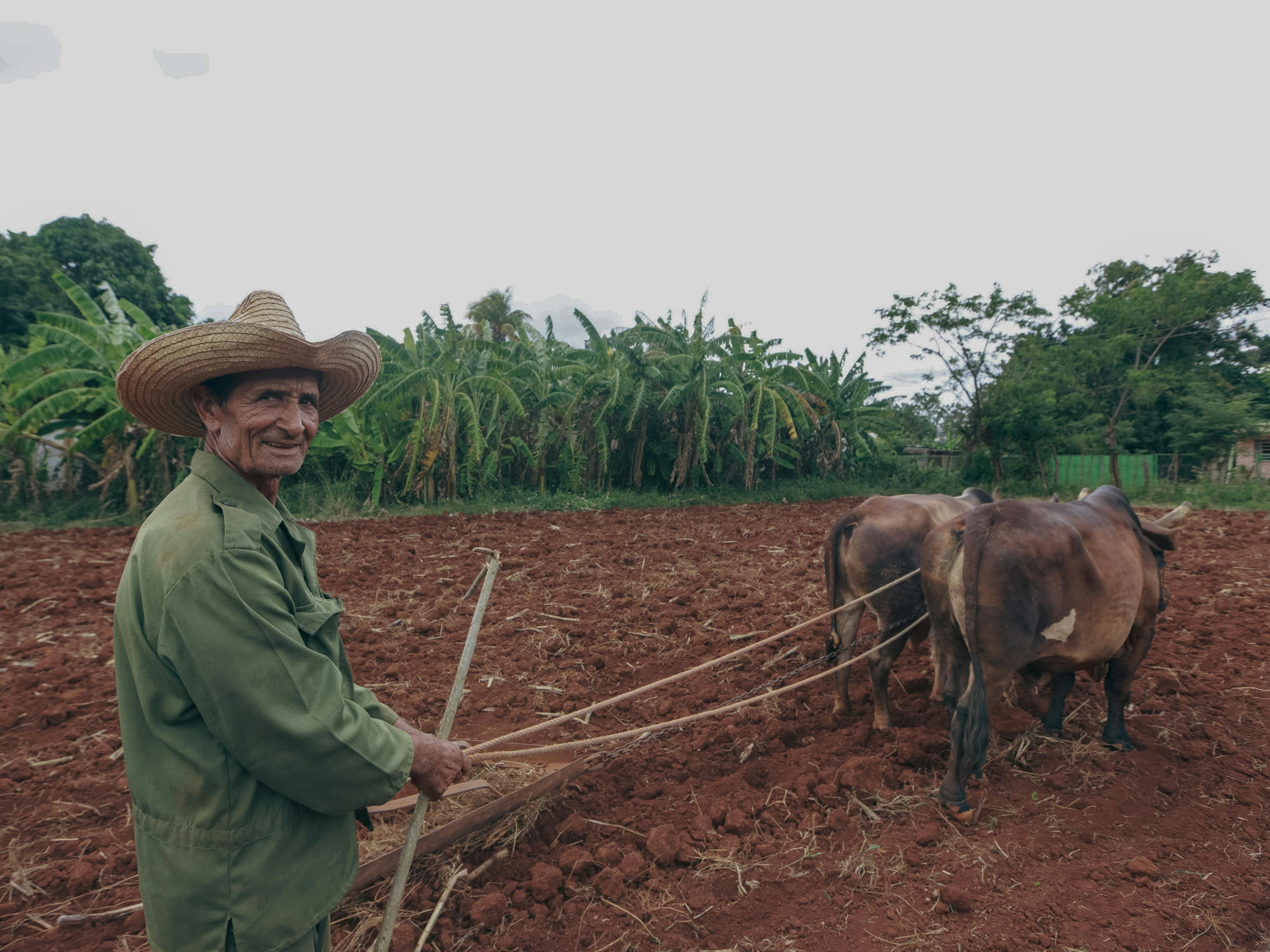 Indonesian Farmer Photos, Download Free Indonesian Farmer Stock Photos ...