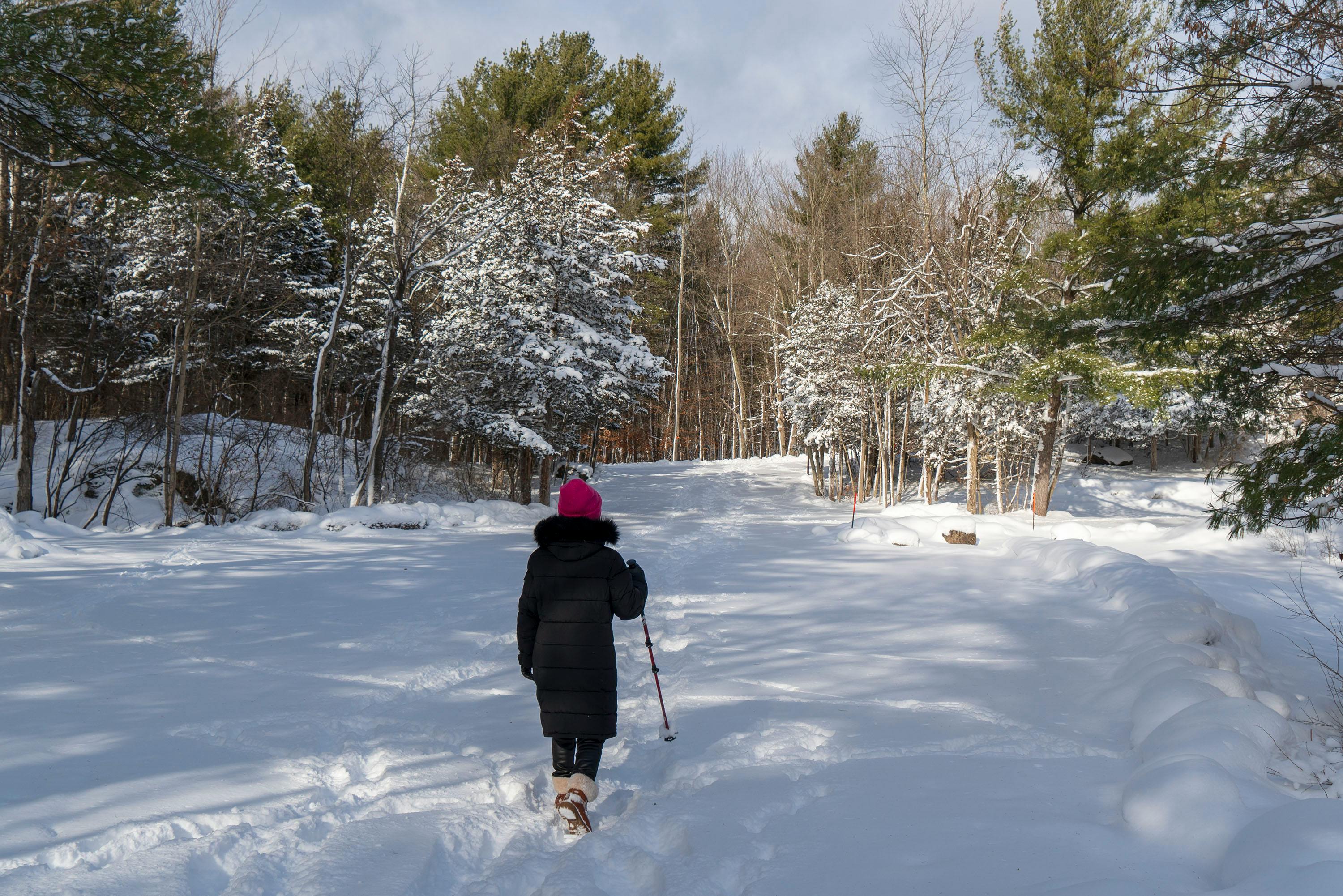 A Person Walking on the Snow · Free Stock Photo