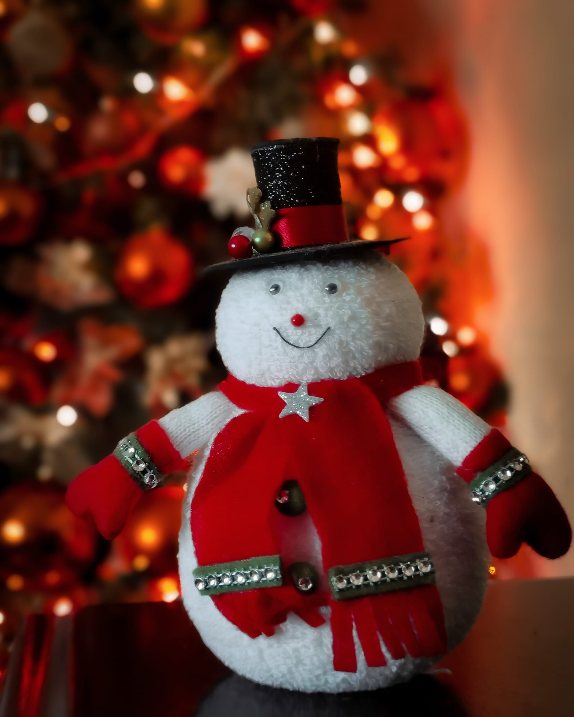 A Celebration Decor with Tinsel · Free Stock Photo