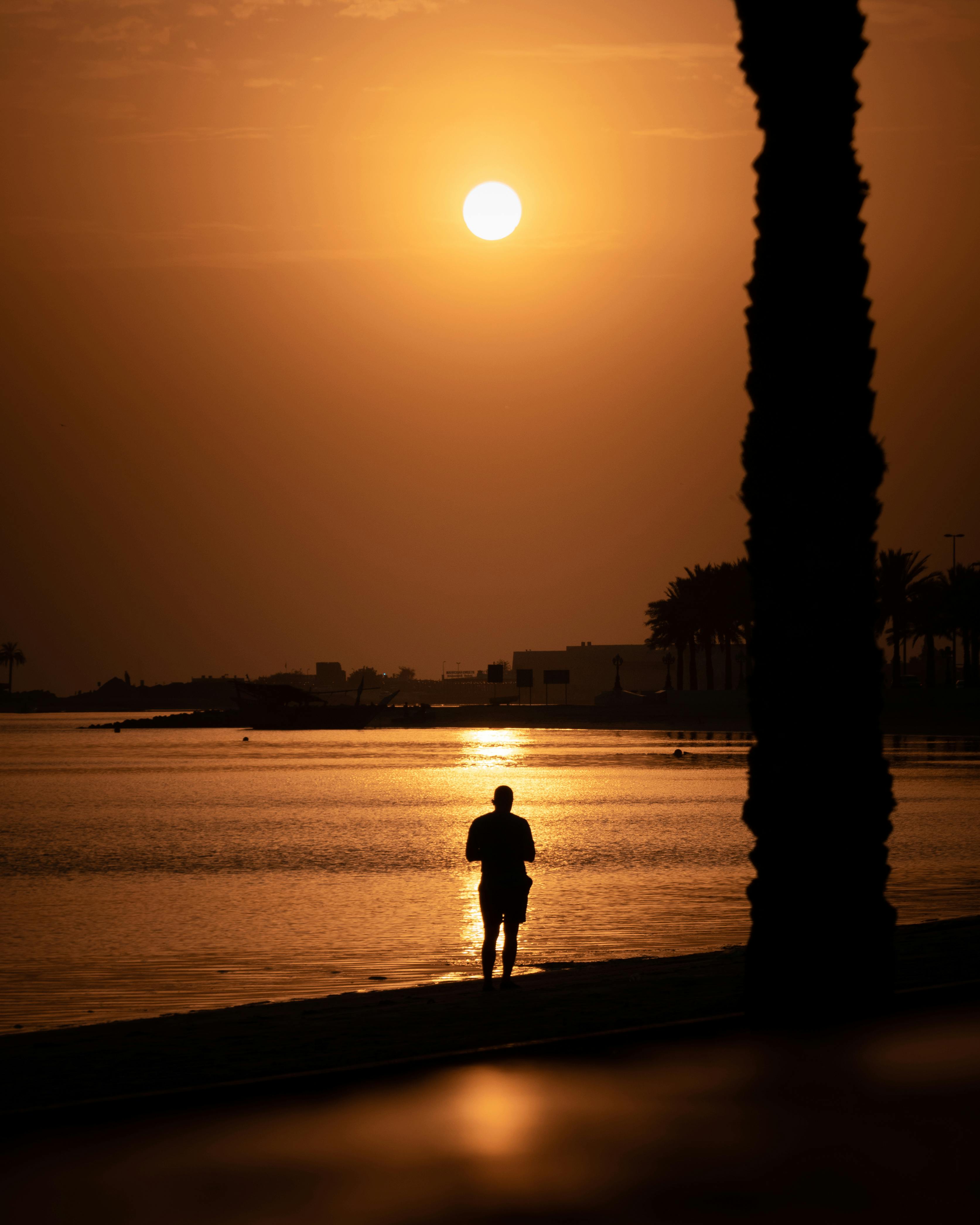 Man on Beach at Sunset · Free Stock Photo