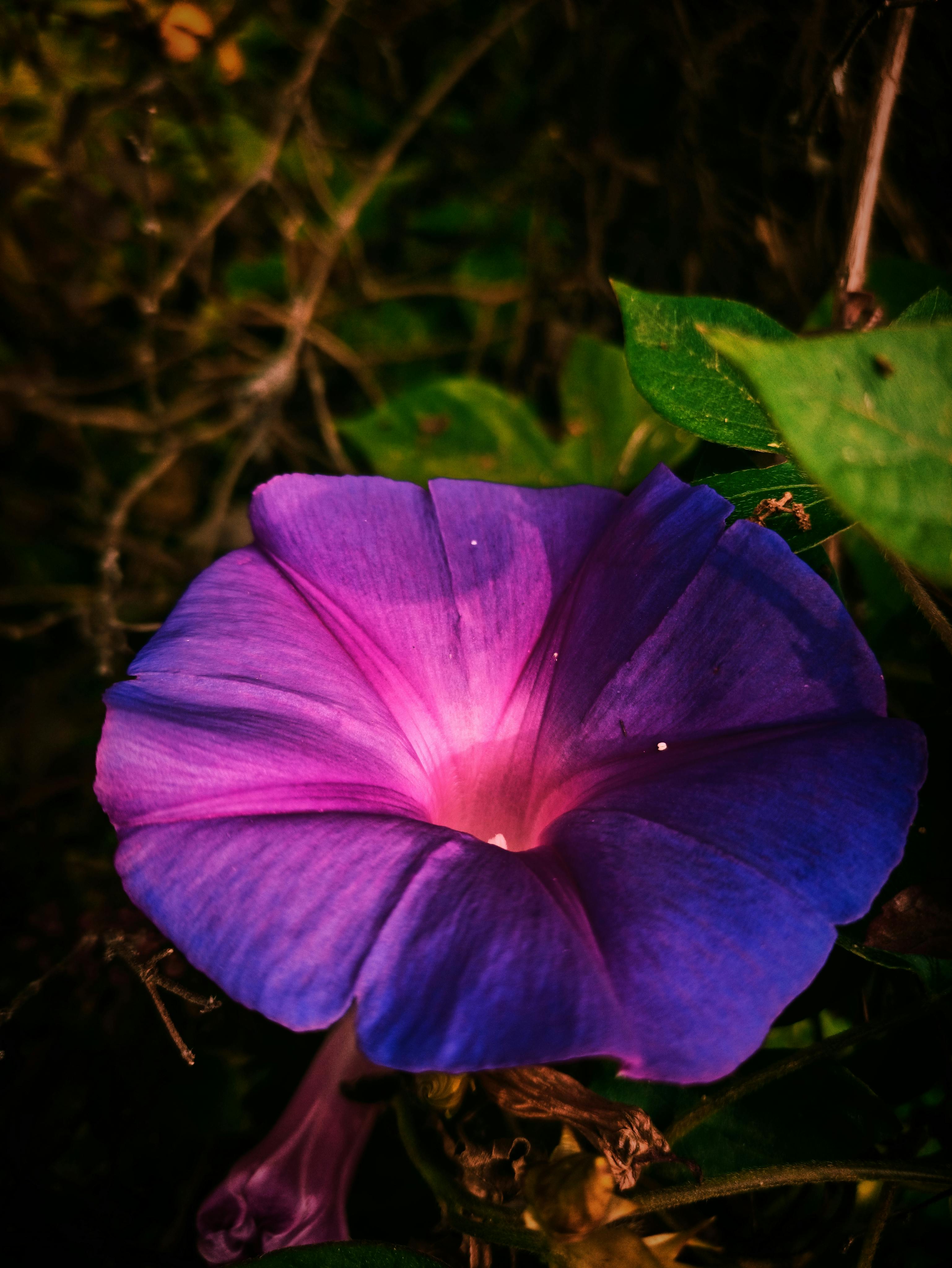 Pranav Mishra - Fotografía