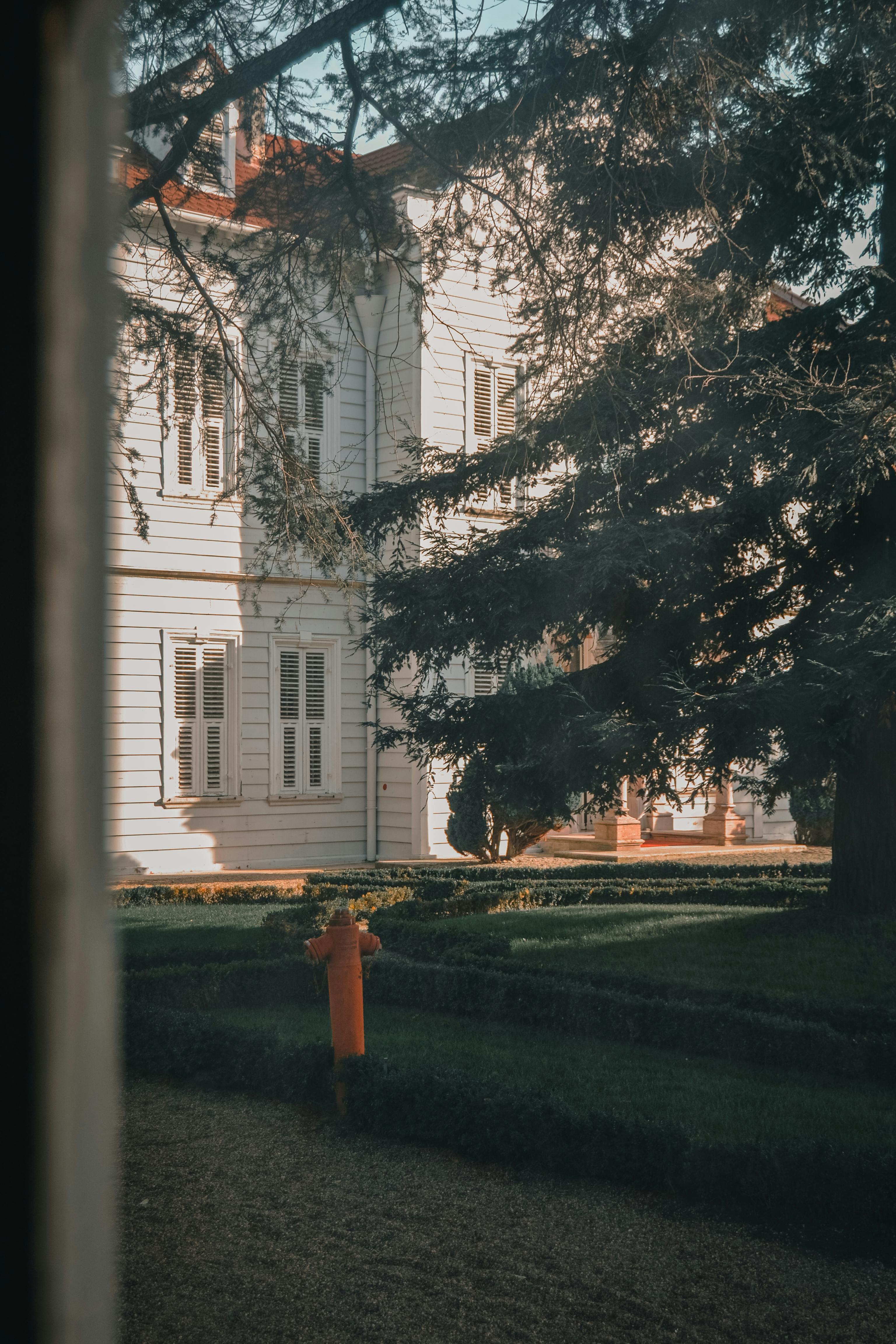 Tree and Lawn in Garden near Building · Free Stock Photo