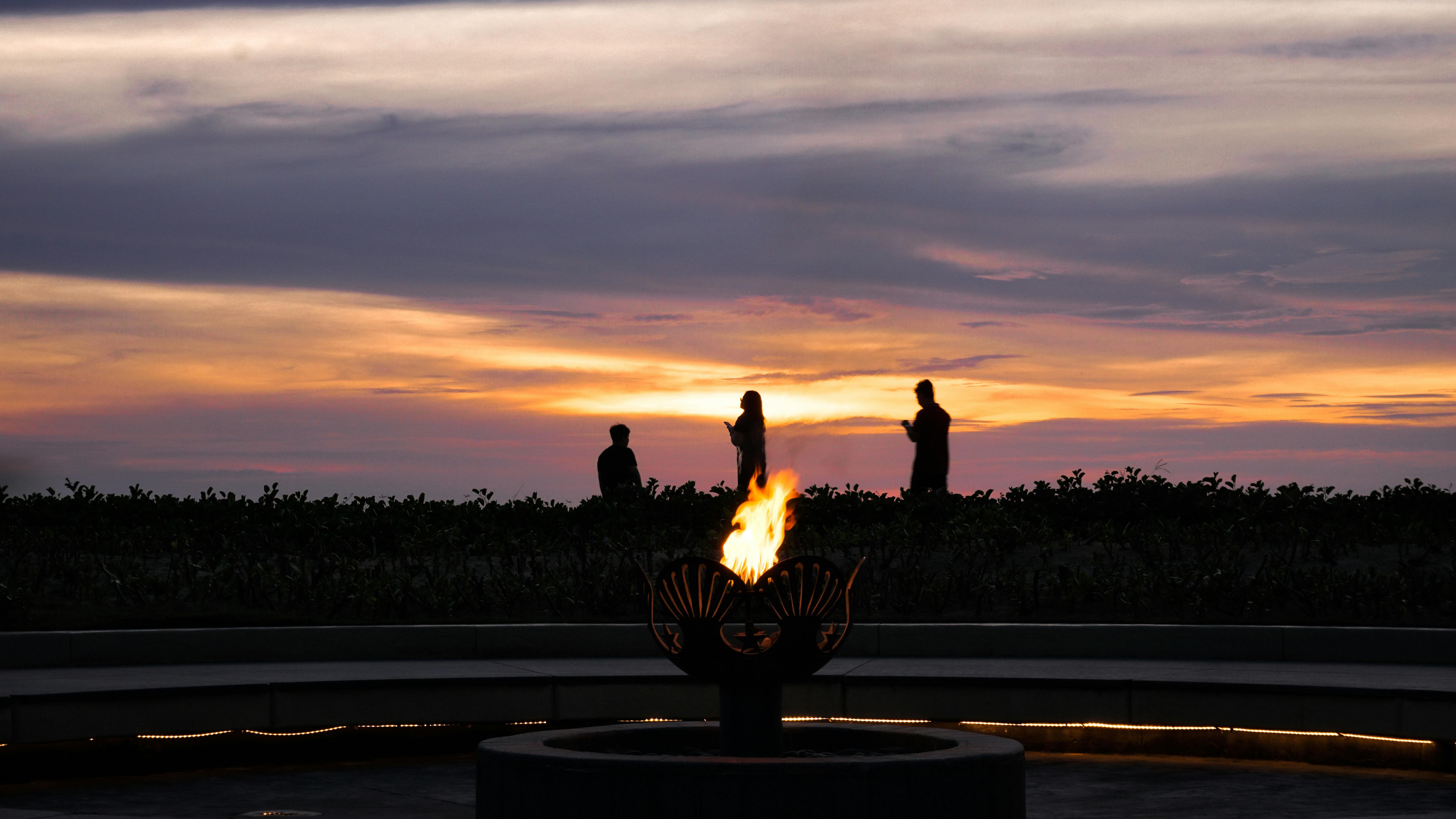 Silhouette of Person in the Evening · Free Stock Photo