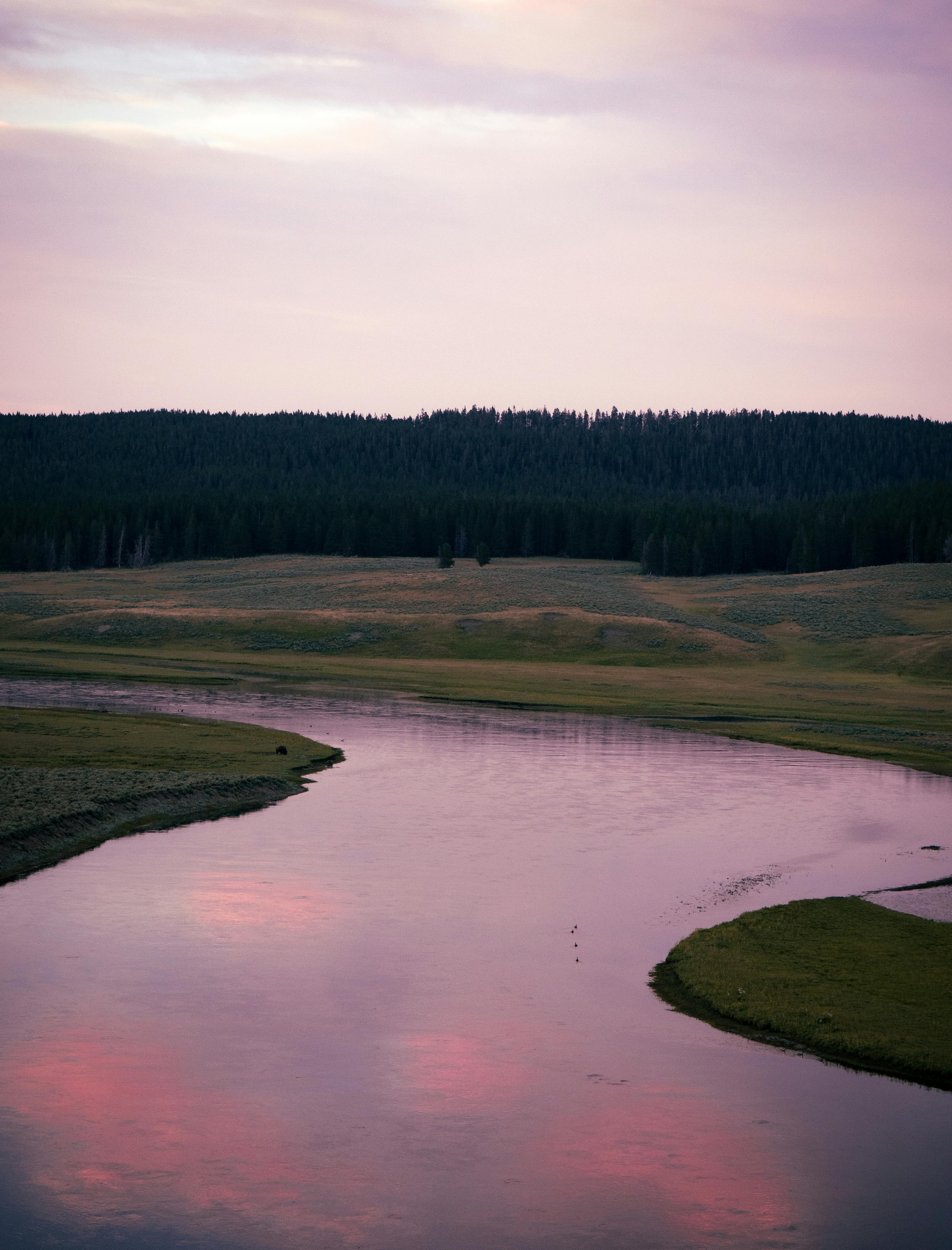 Sinuous Spring System Photos, Download The BEST Free Sinuous Spring ...