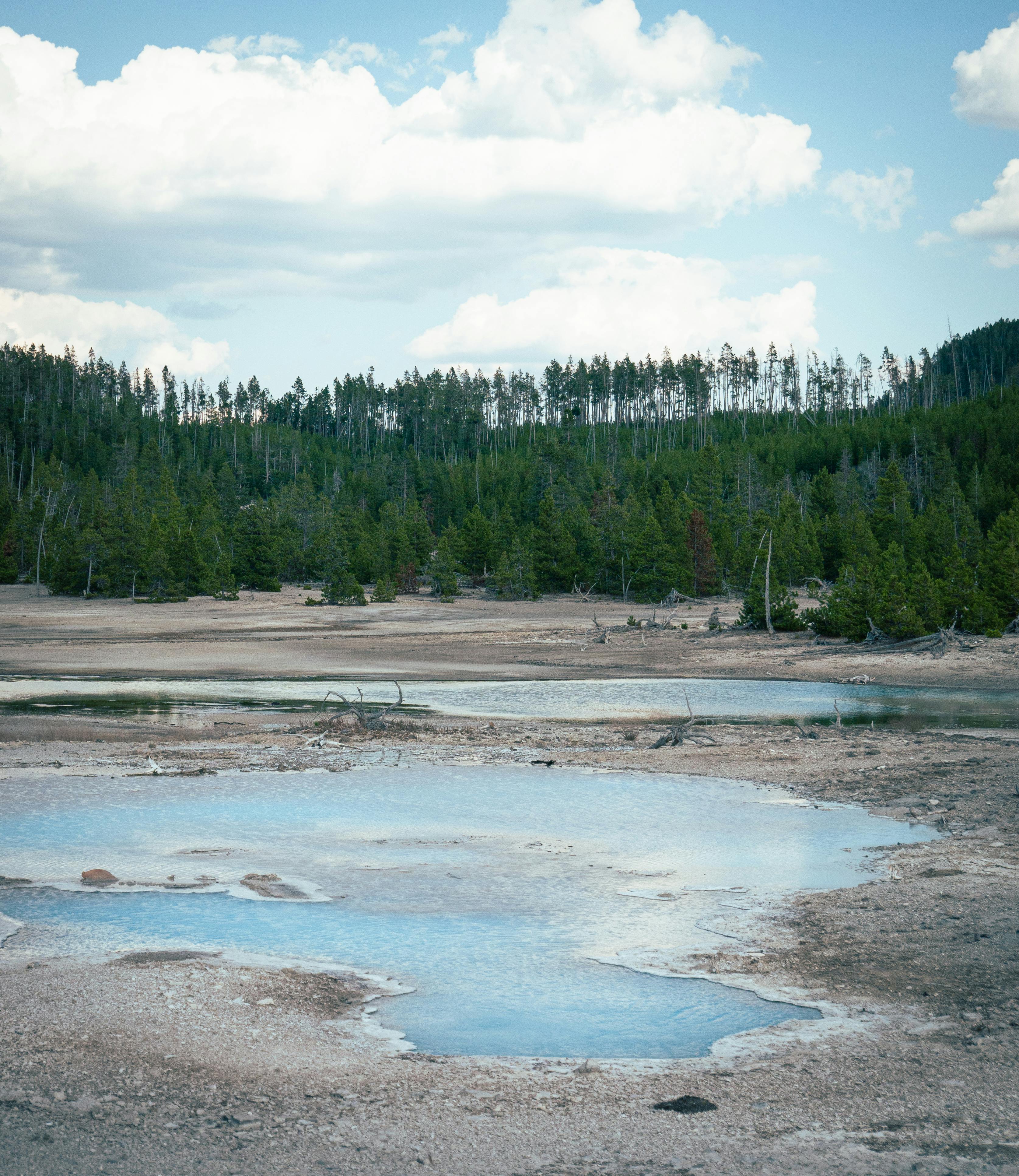 Shallow Hot Springs by Forest Line · Free Stock Photo