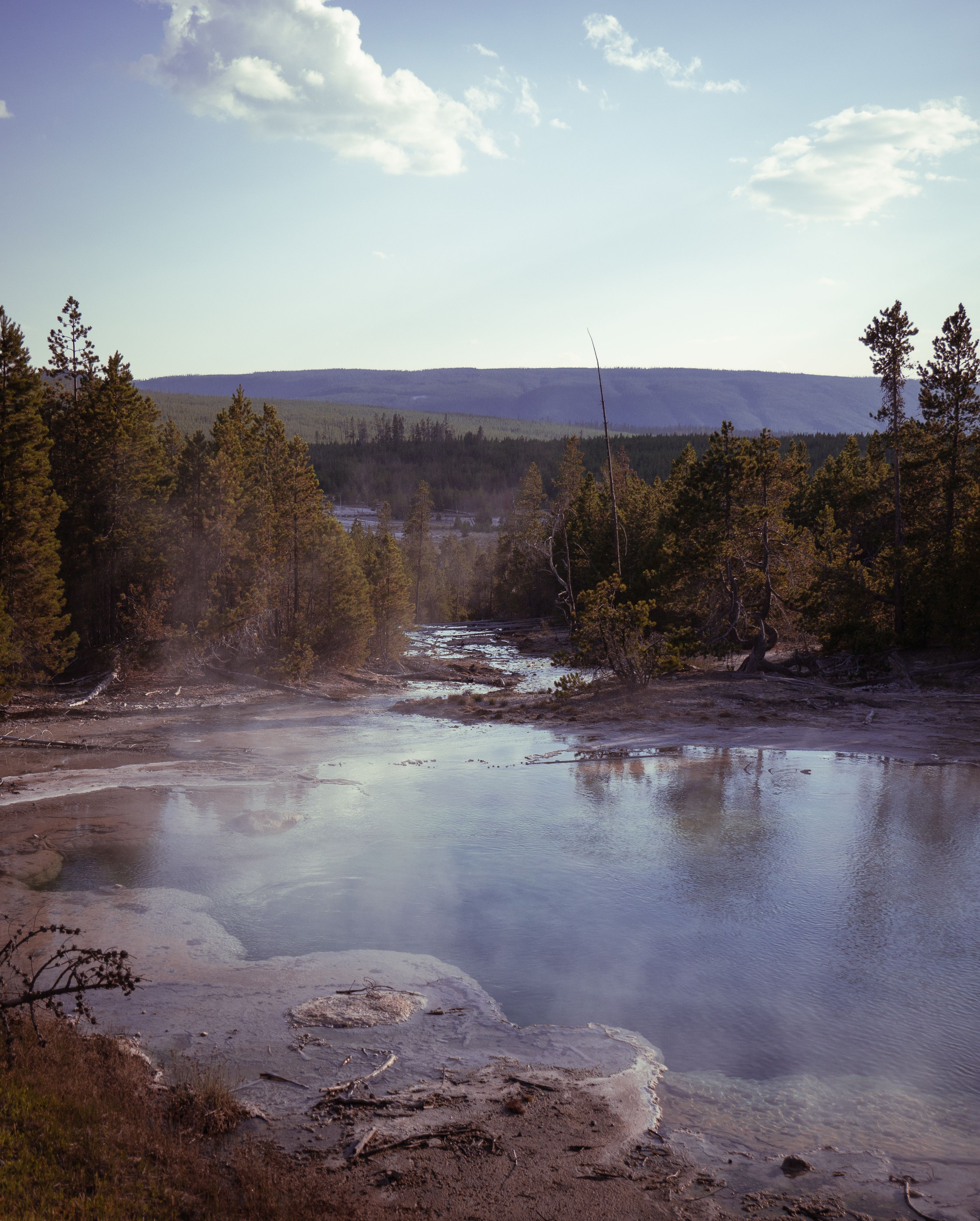 Forest Steam Photos, Download The BEST Free Forest Steam Stock Photos ...