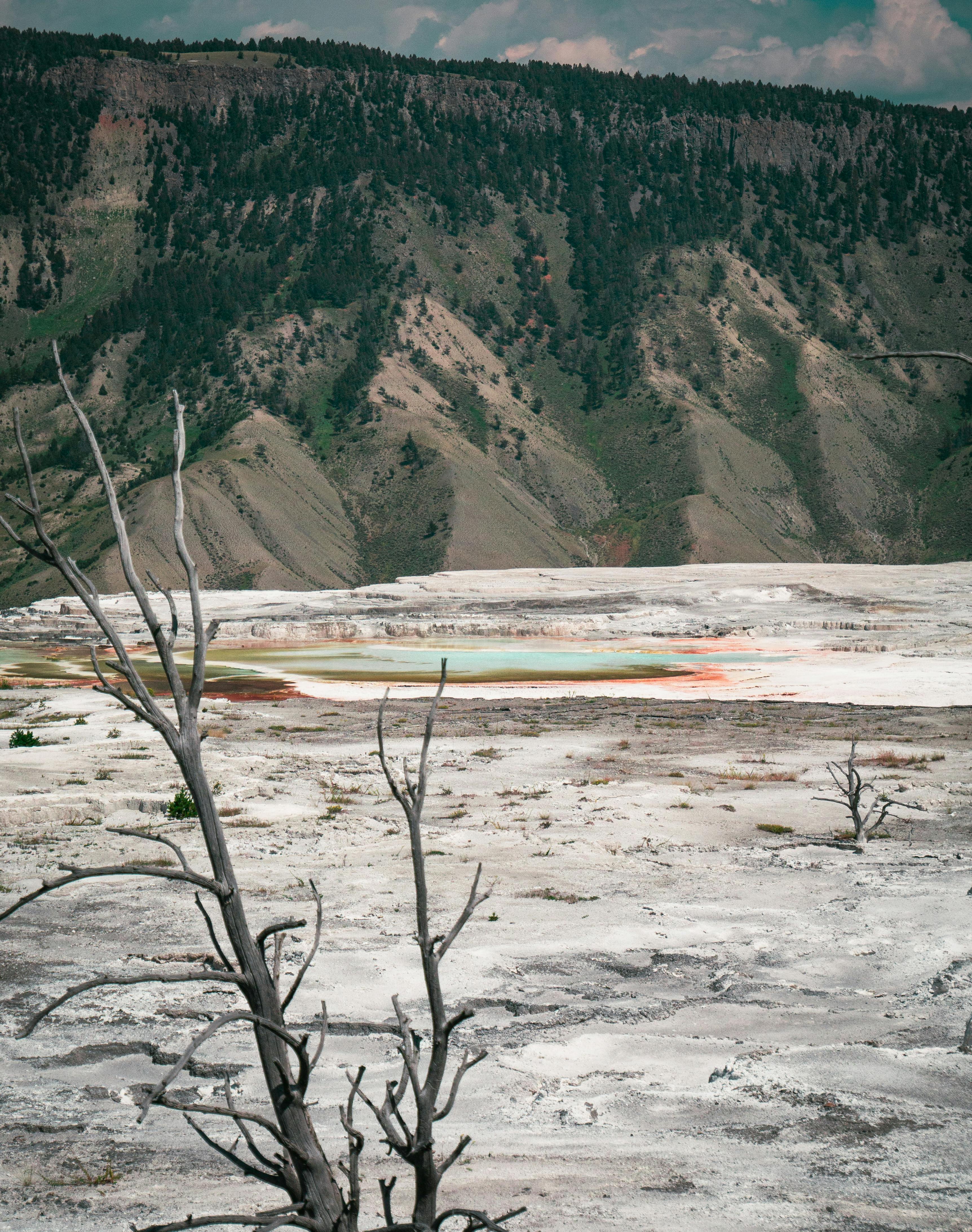 Sand on Wasteland · Free Stock Photo