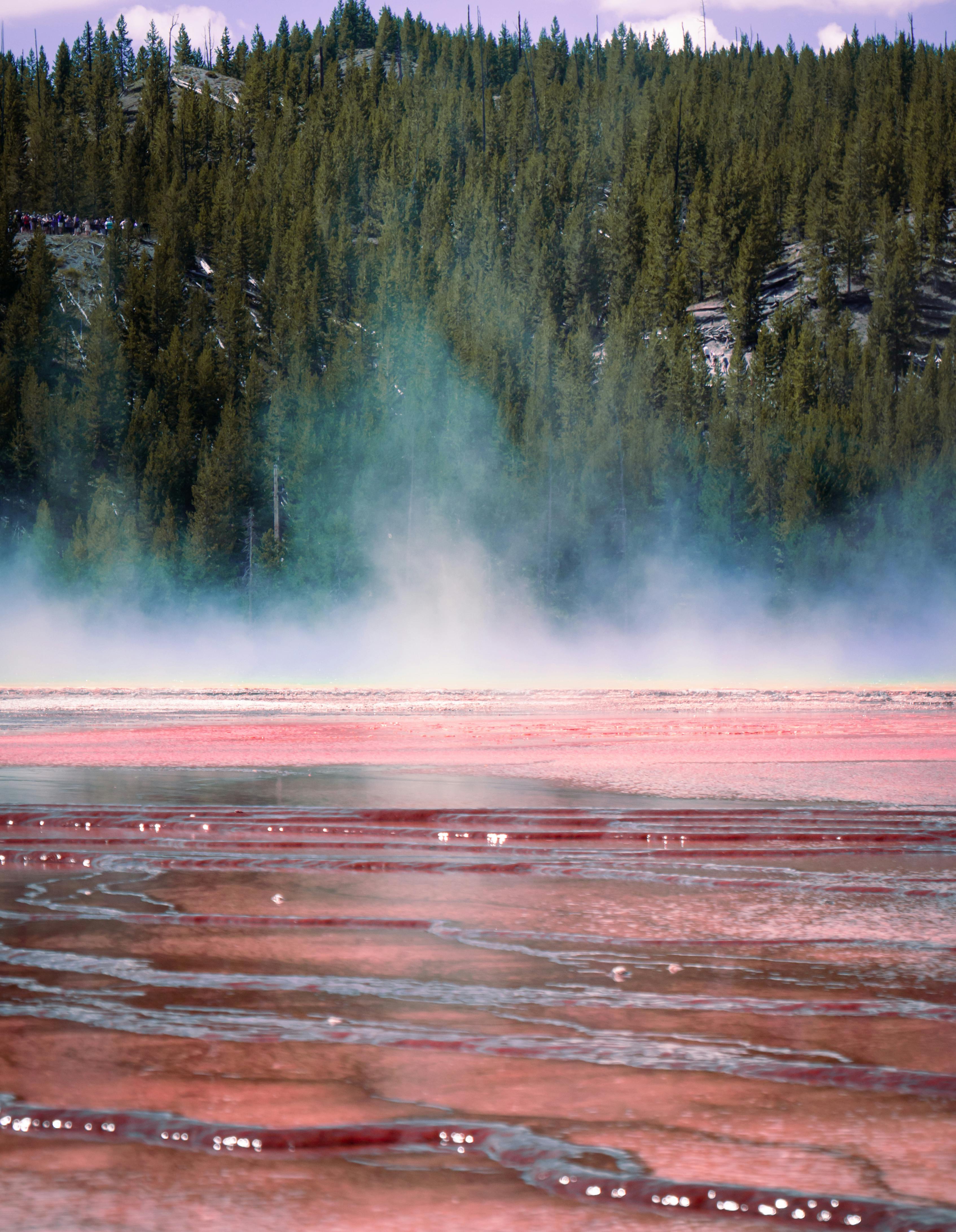 Steam Emerging from Hot Spring · Free Stock Photo