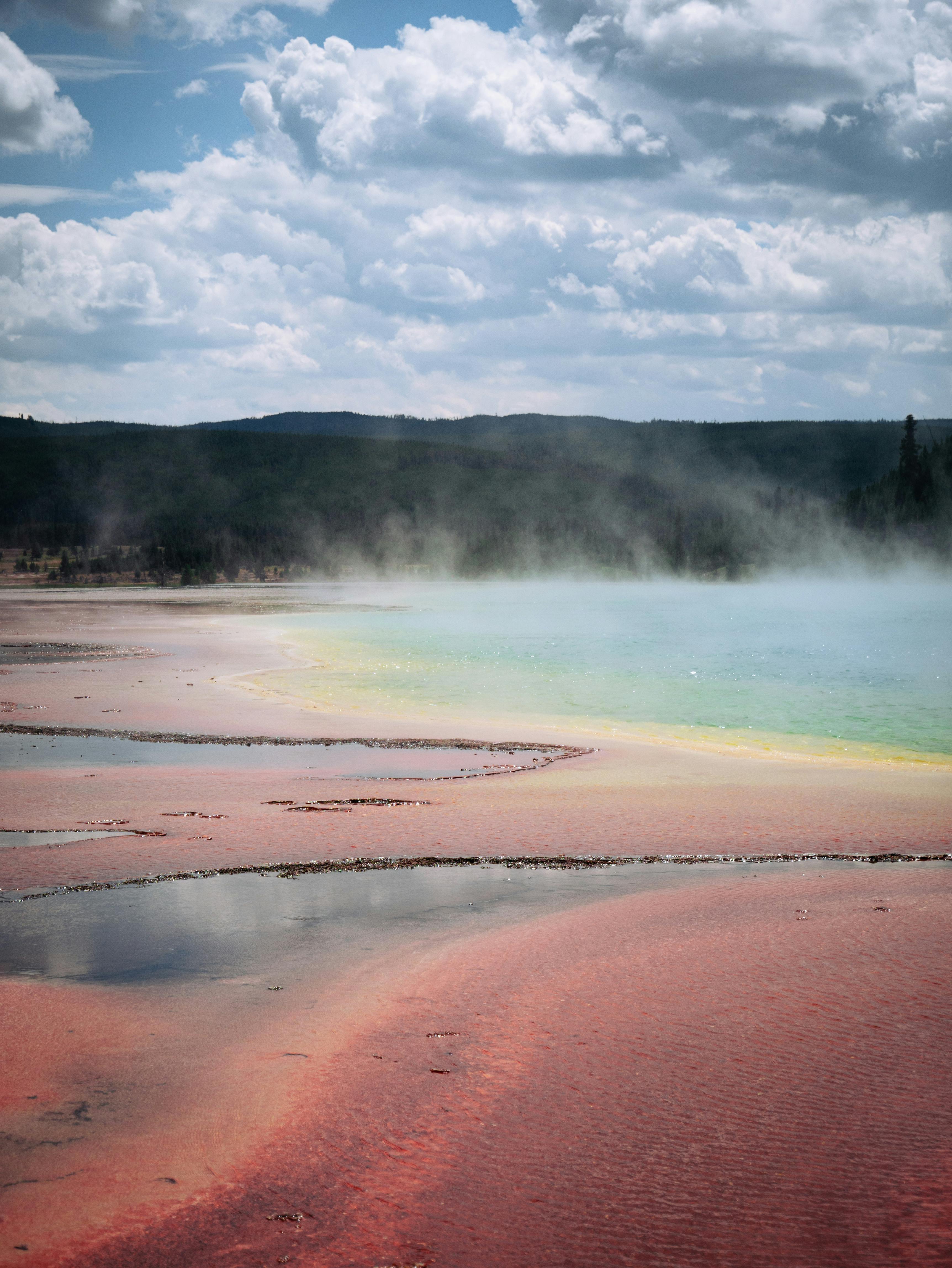Steamed Spring Rolls Photos, Download The BEST Free Steamed Spring ...