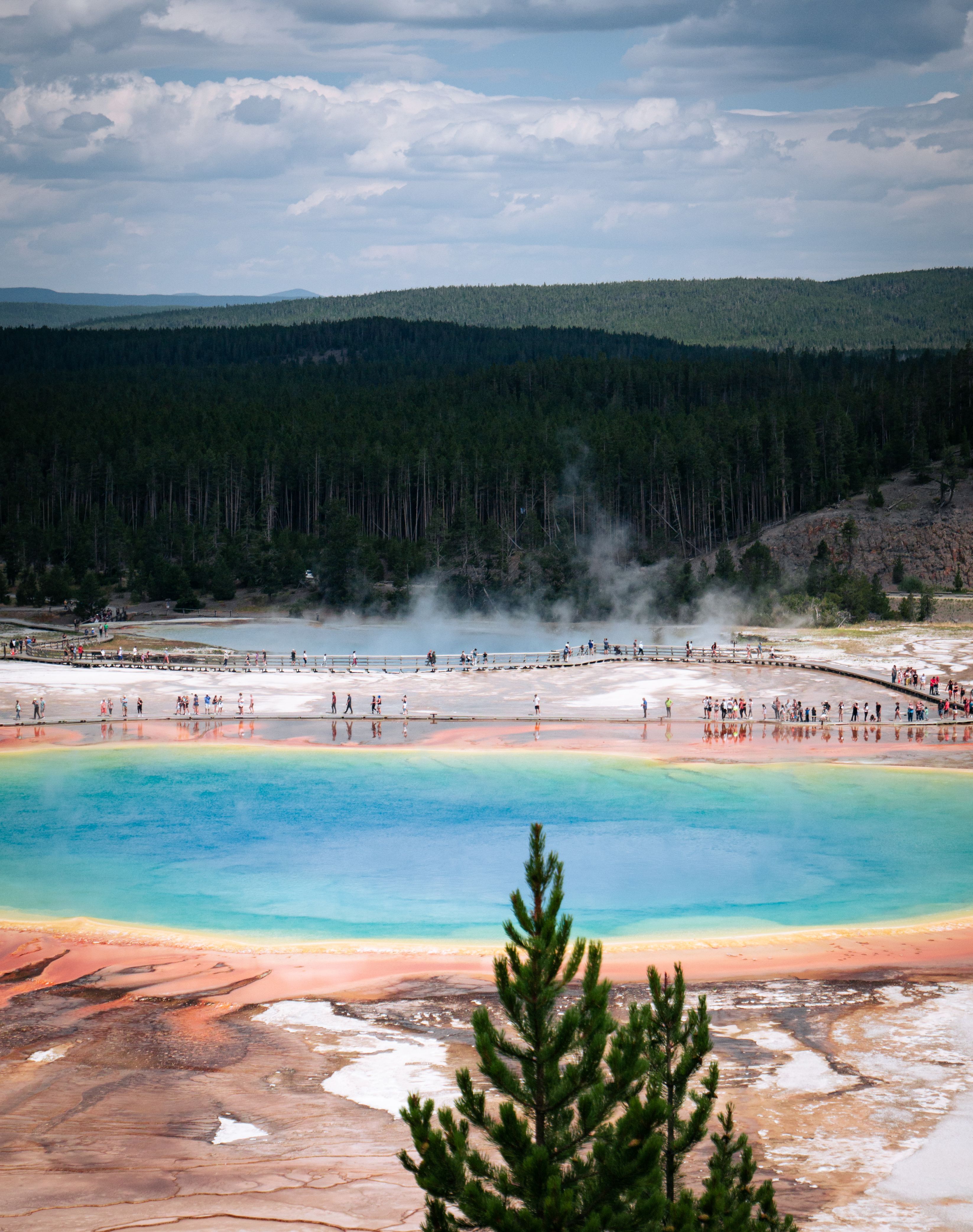 Grand Prismatic Spring Seen through Trees · Free Stock Photo