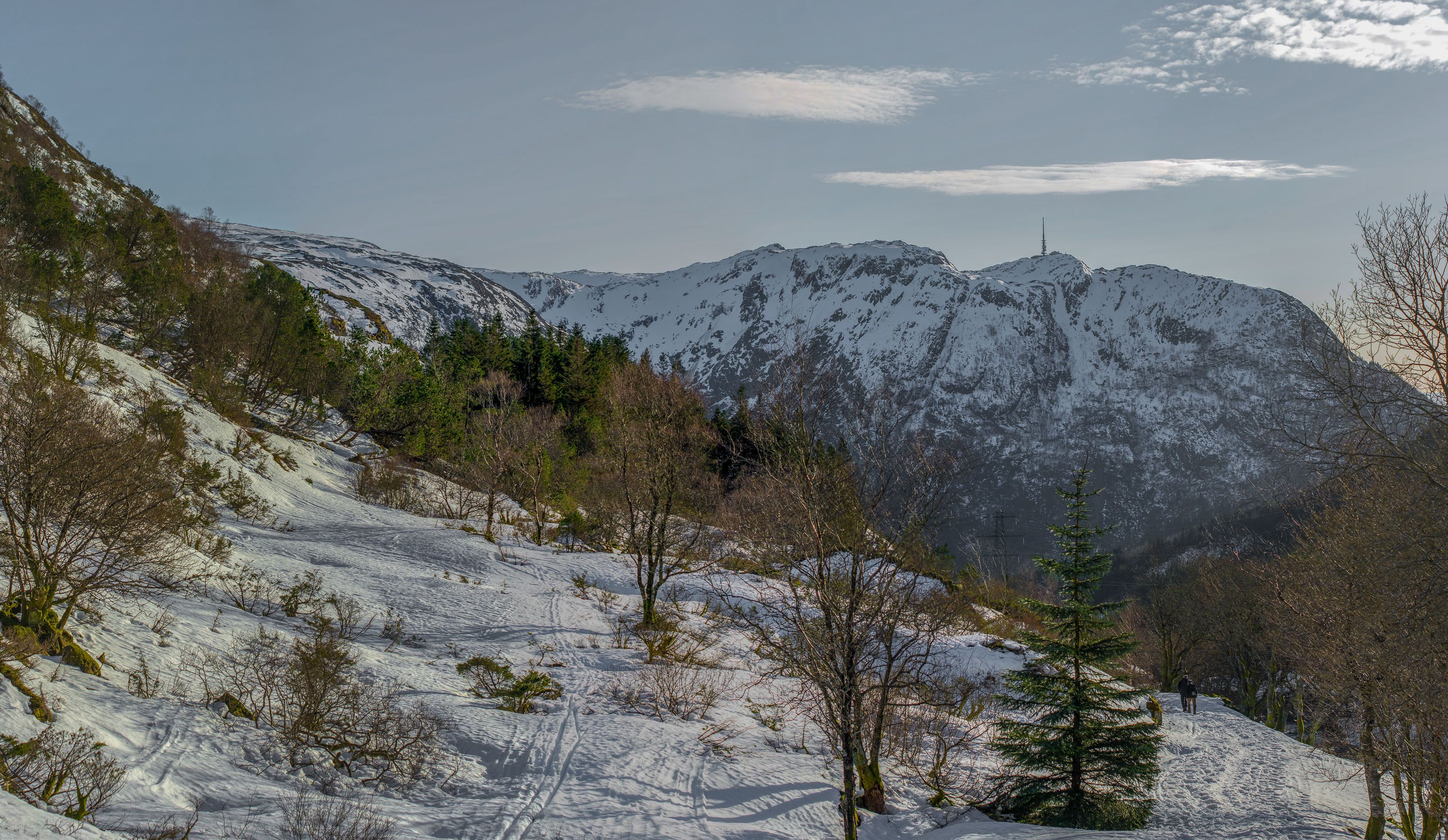 Snowy Tundra Photos, Download Free Snowy Tundra Stock Photos & HD Images