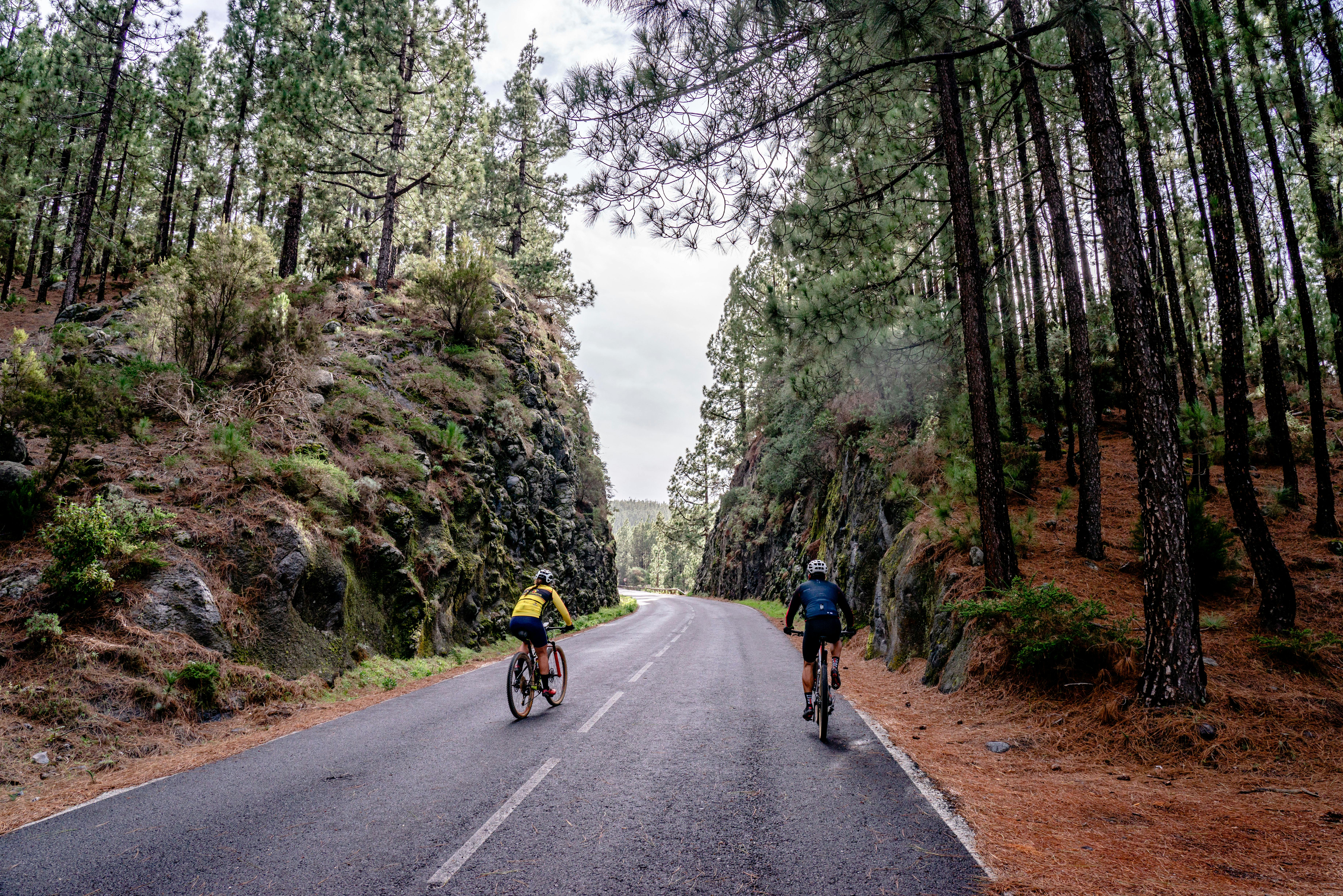 A Pair of Bikers Biking on Road Between Hills · Free Stock Photo