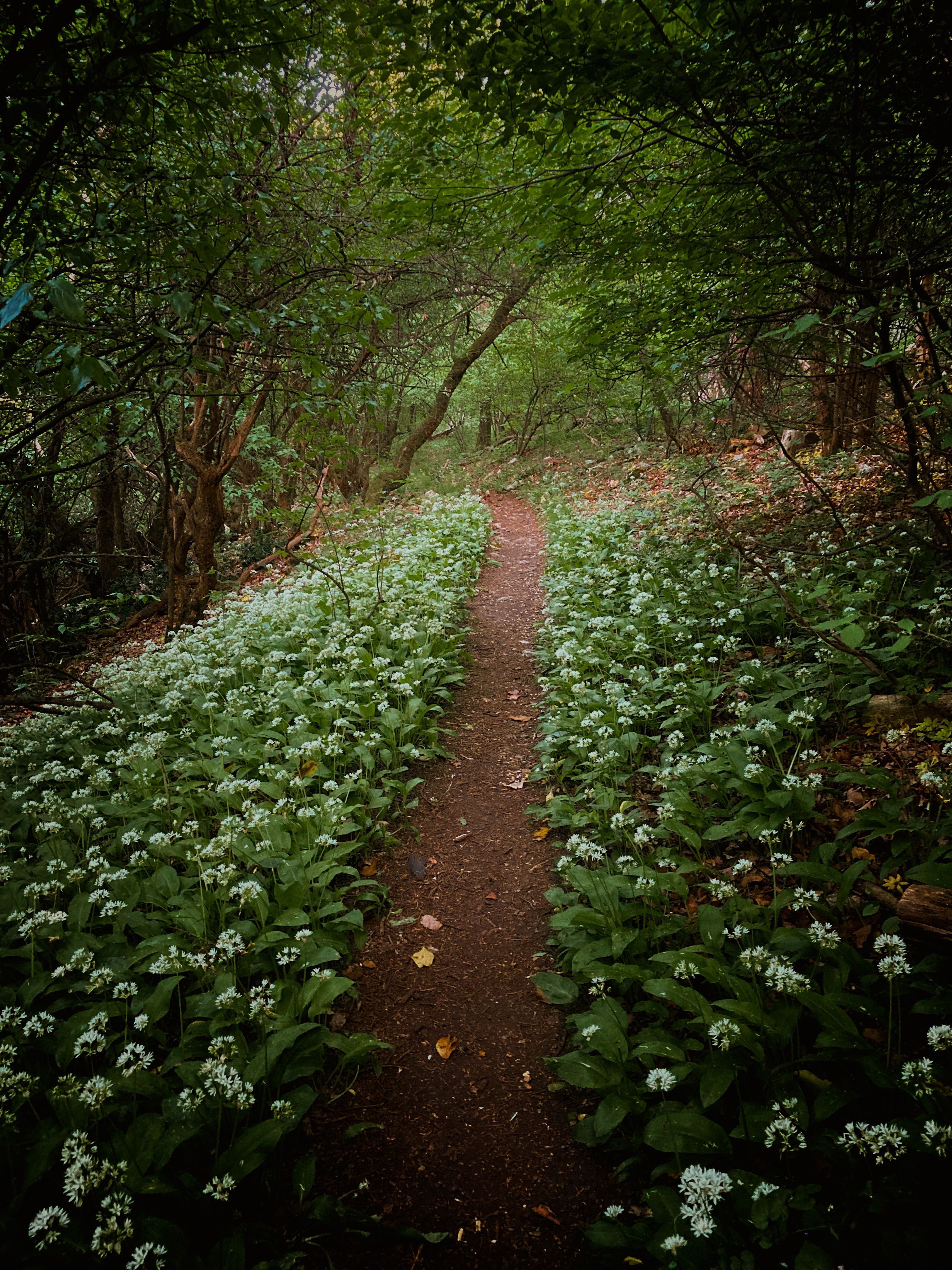 Avatar Plants Photos, Download The BEST Free Avatar Plants Stock Photos ...