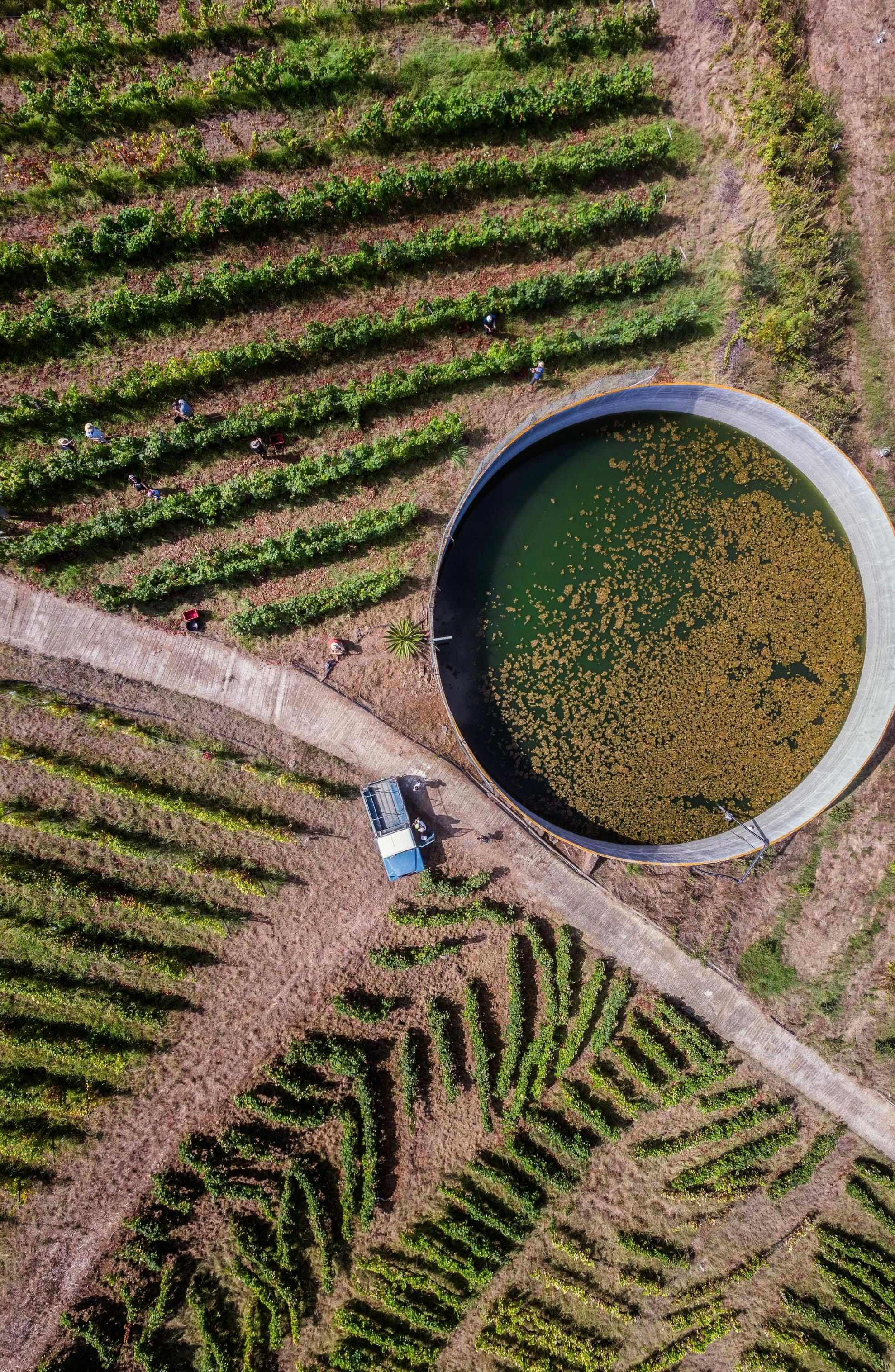 Field Agri Photos, Download Free Field Agri Stock Photos & HD Images