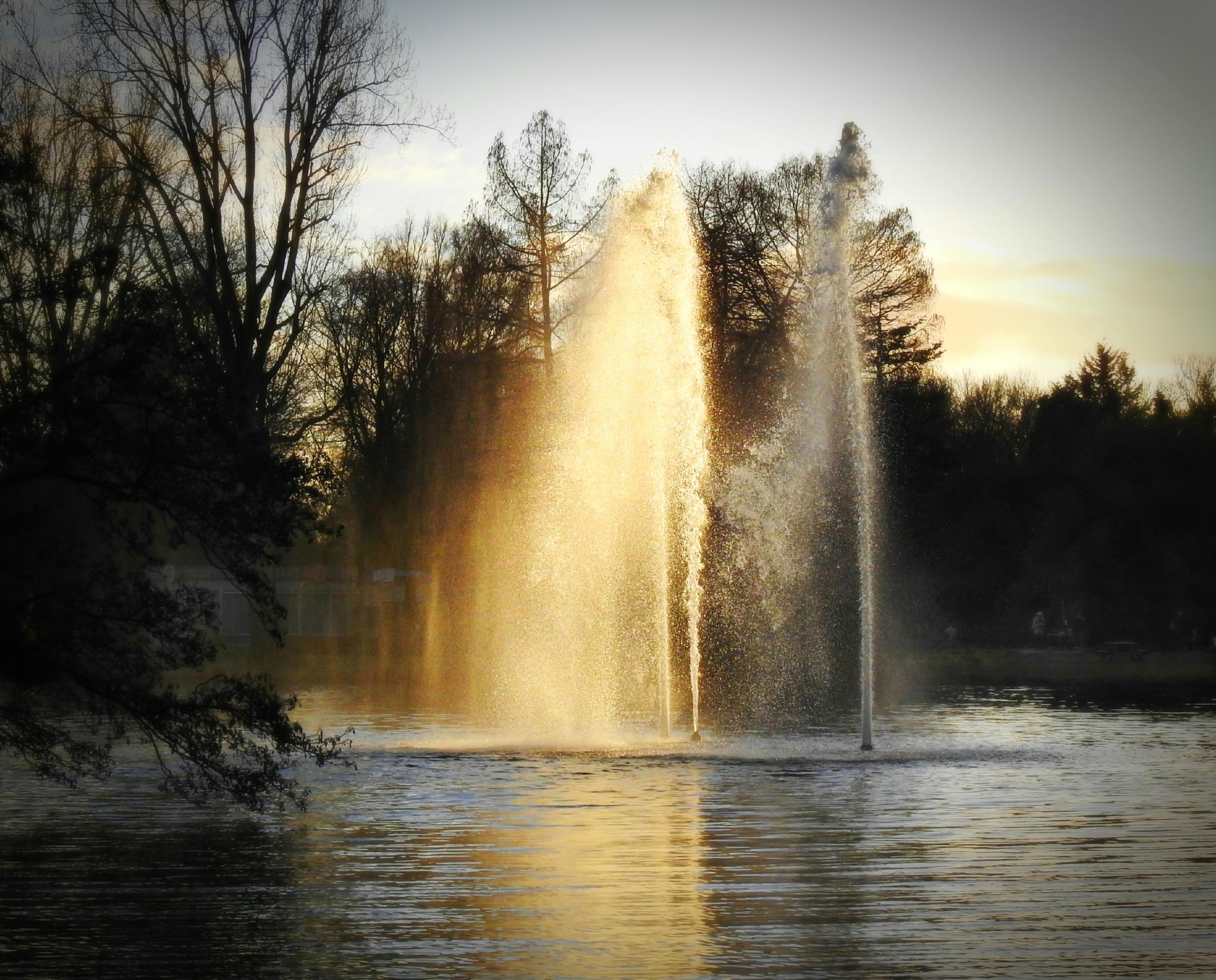 Mabel Amber - 摄影