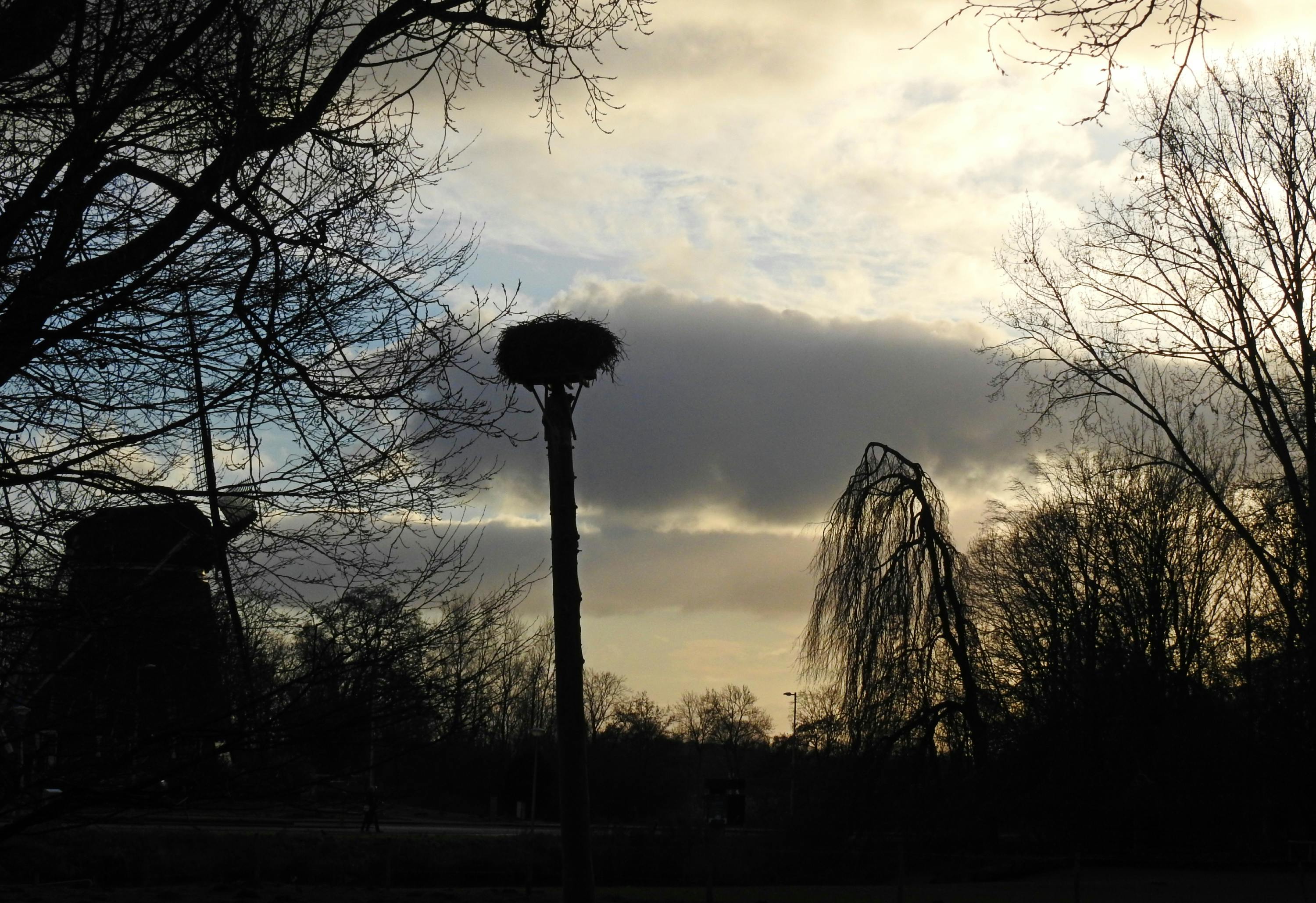 Mabel Amber - 摄影