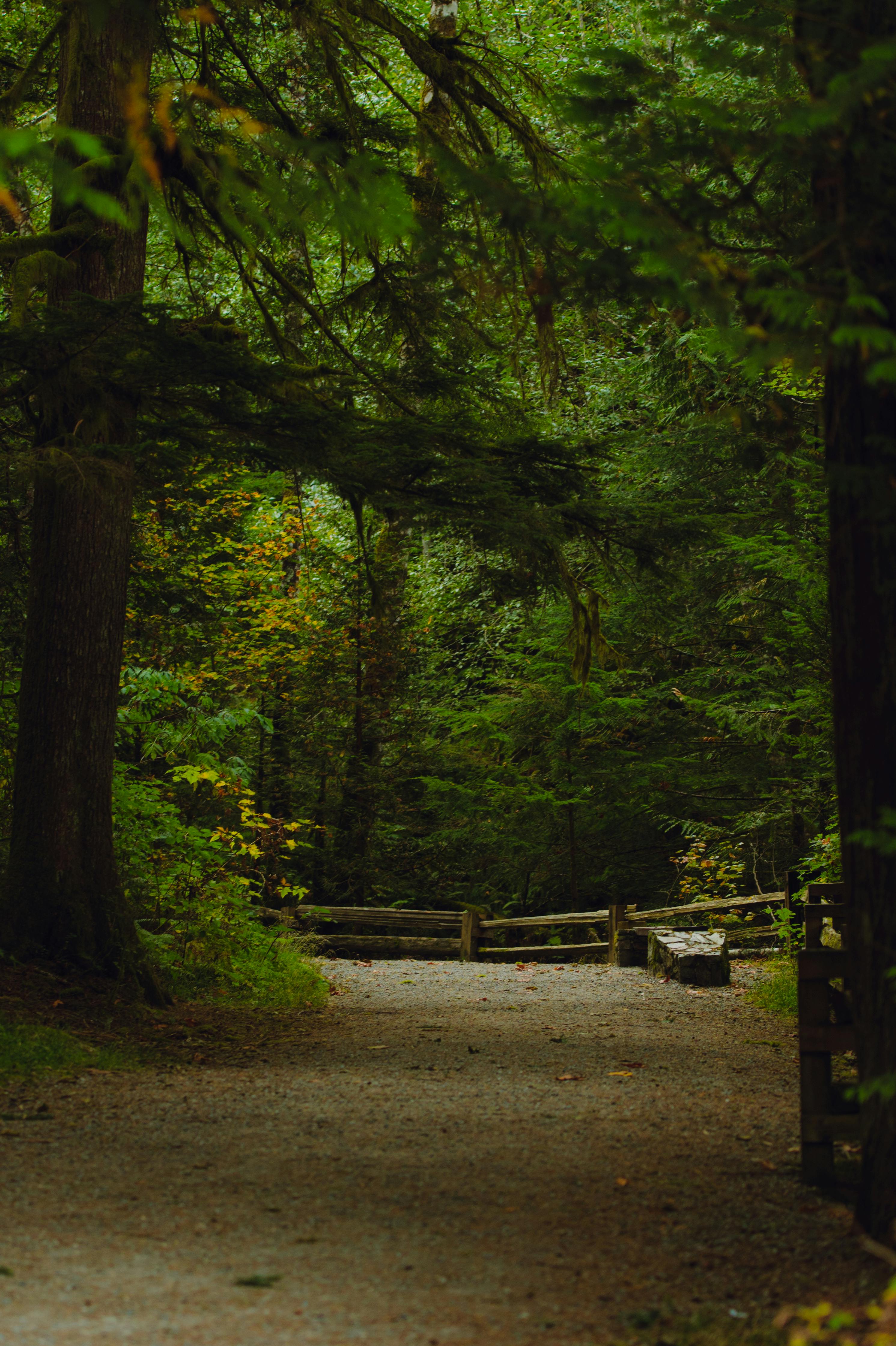 Woman Running in Countryside · Free Stock Photo
