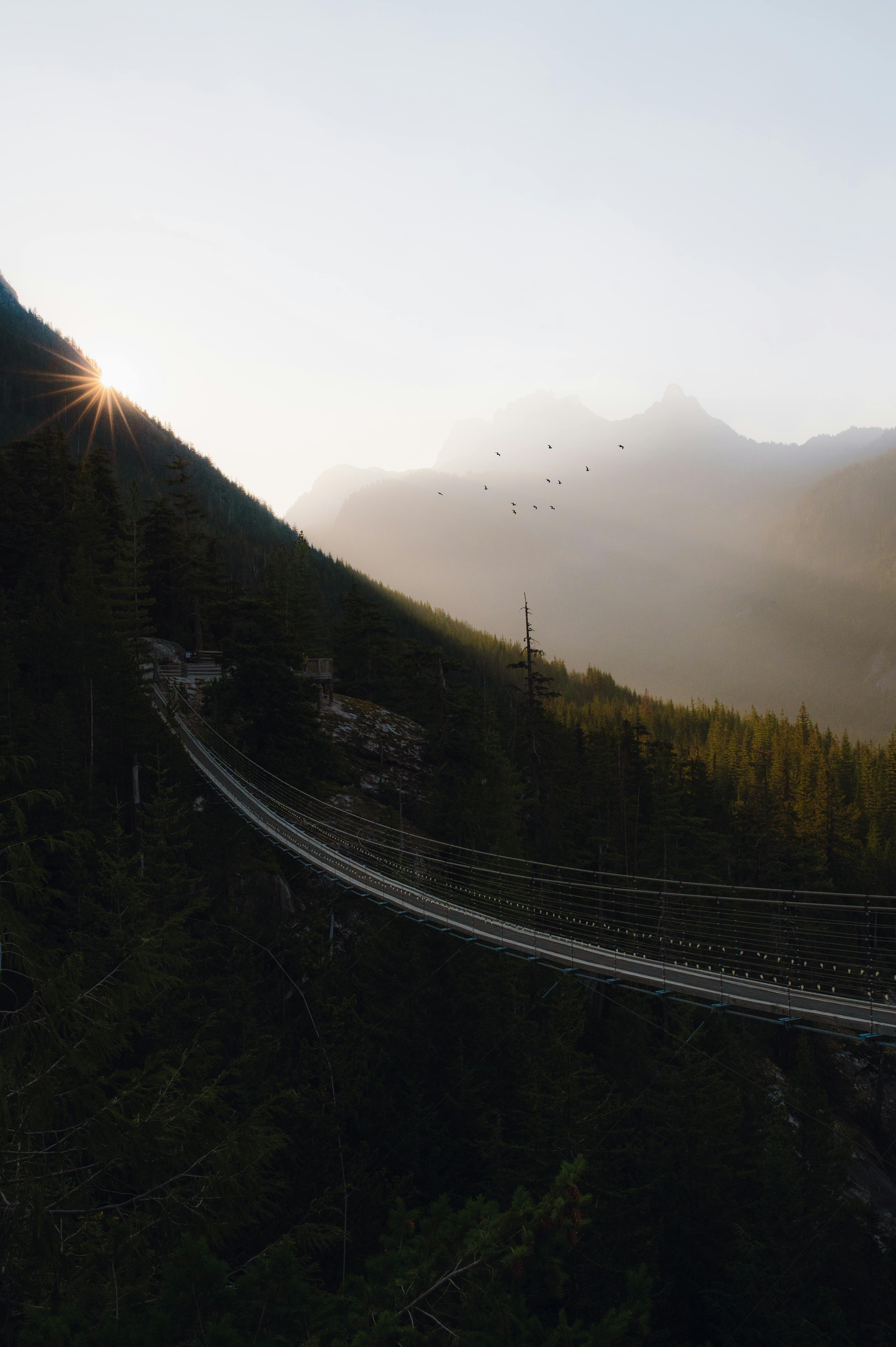 Alpine Suspension Bridge at Foggy Sunrise · Free Stock Photo