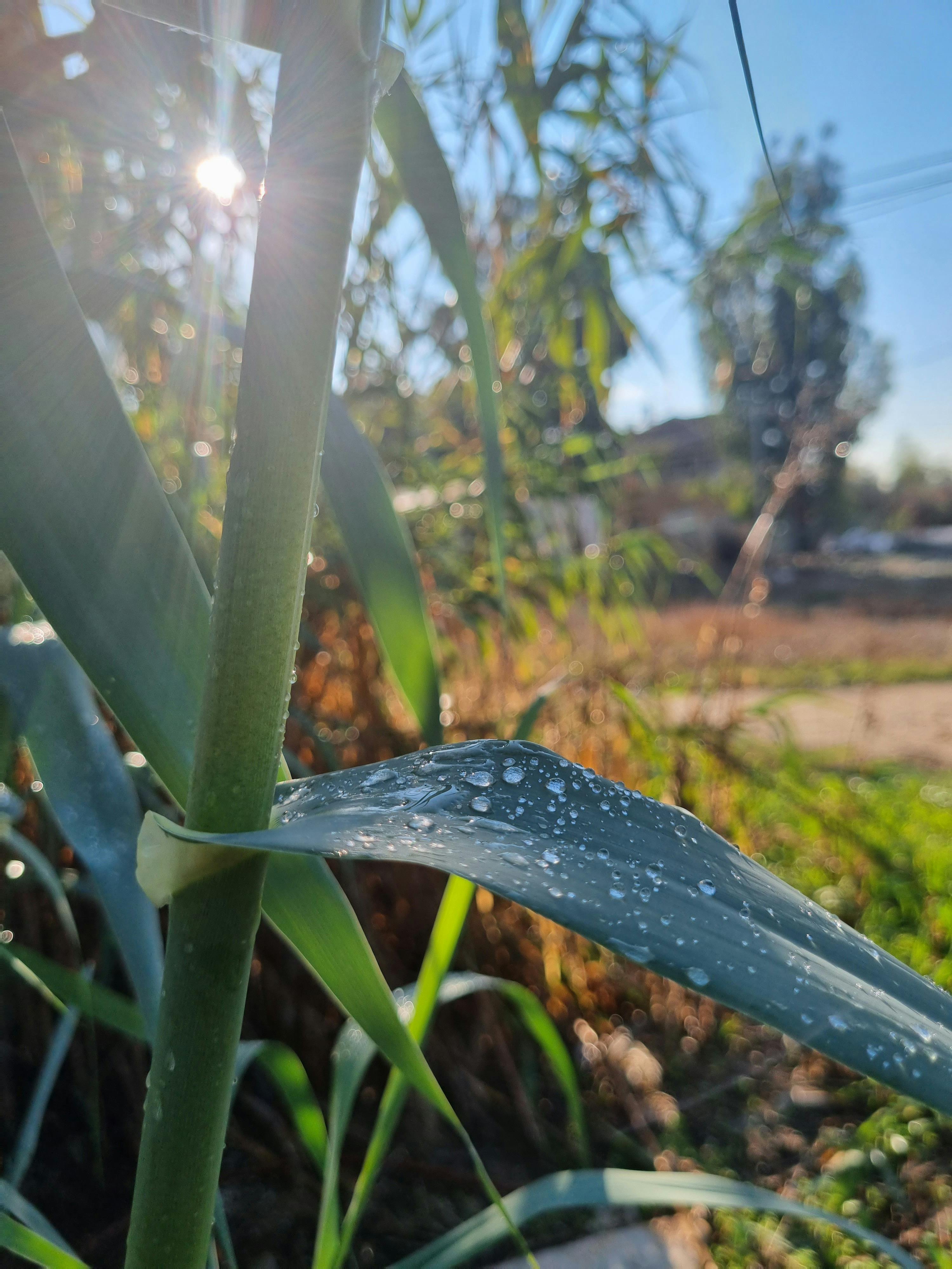 David Lev - Fotografía