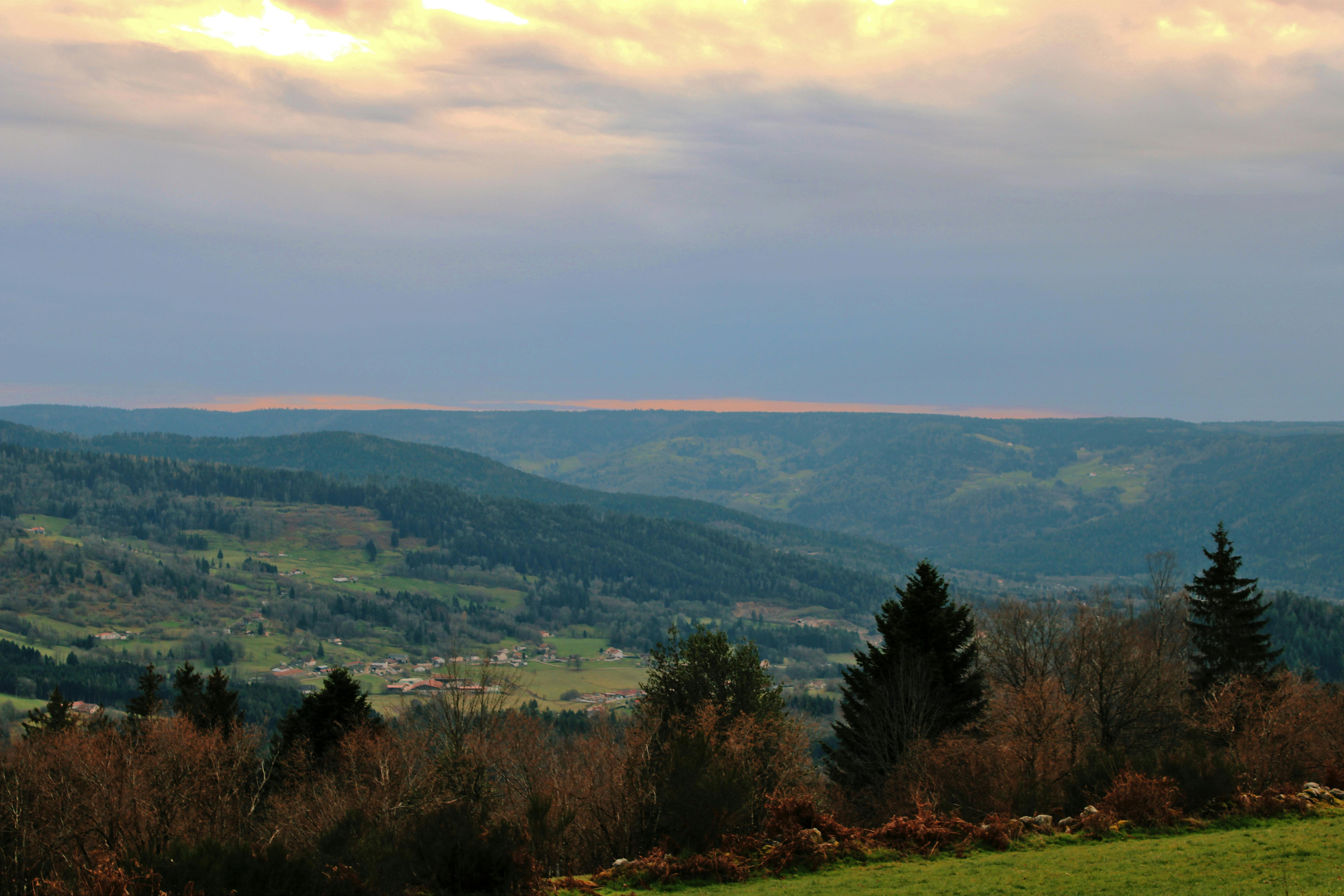 Nepali Tree Photos, Download Free Nepali Tree Stock Photos & HD Images