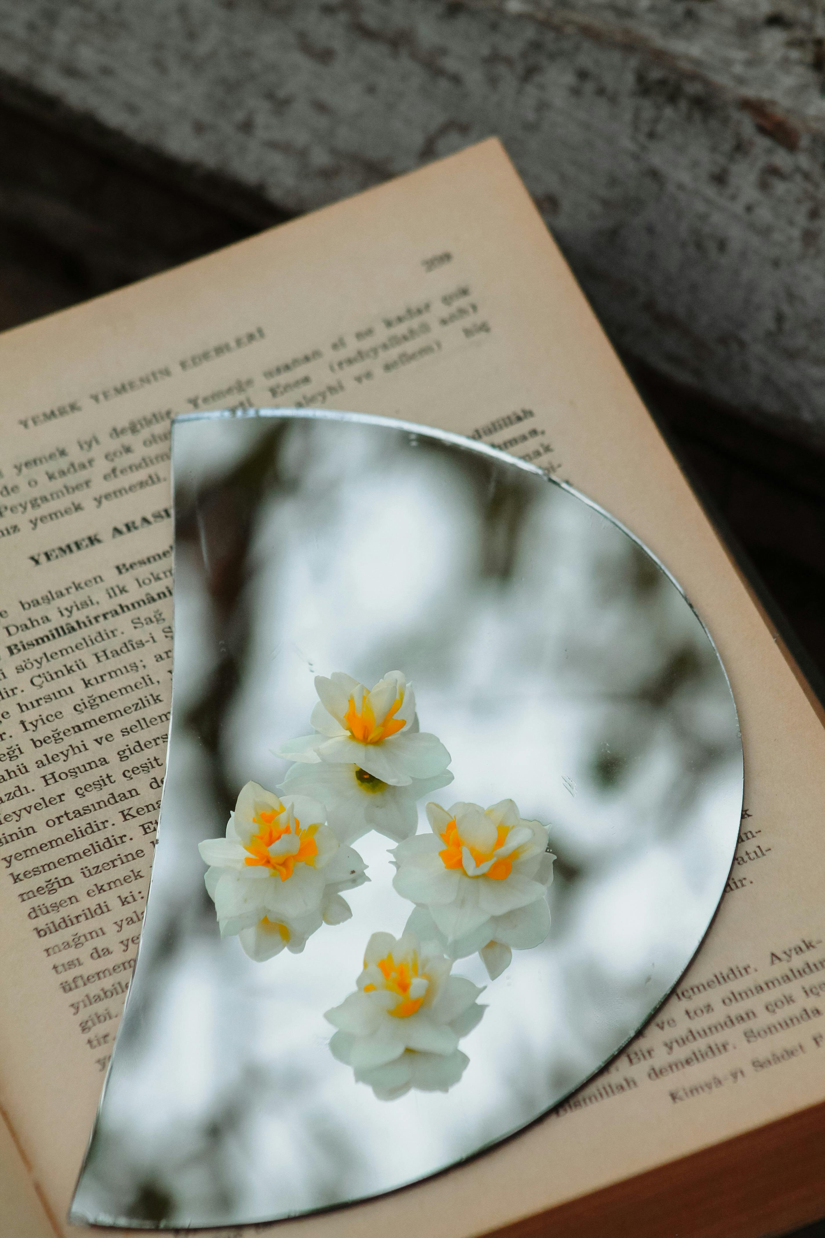 Still Life with Daffodil Flowers on the Mirror · Free Stock Photo