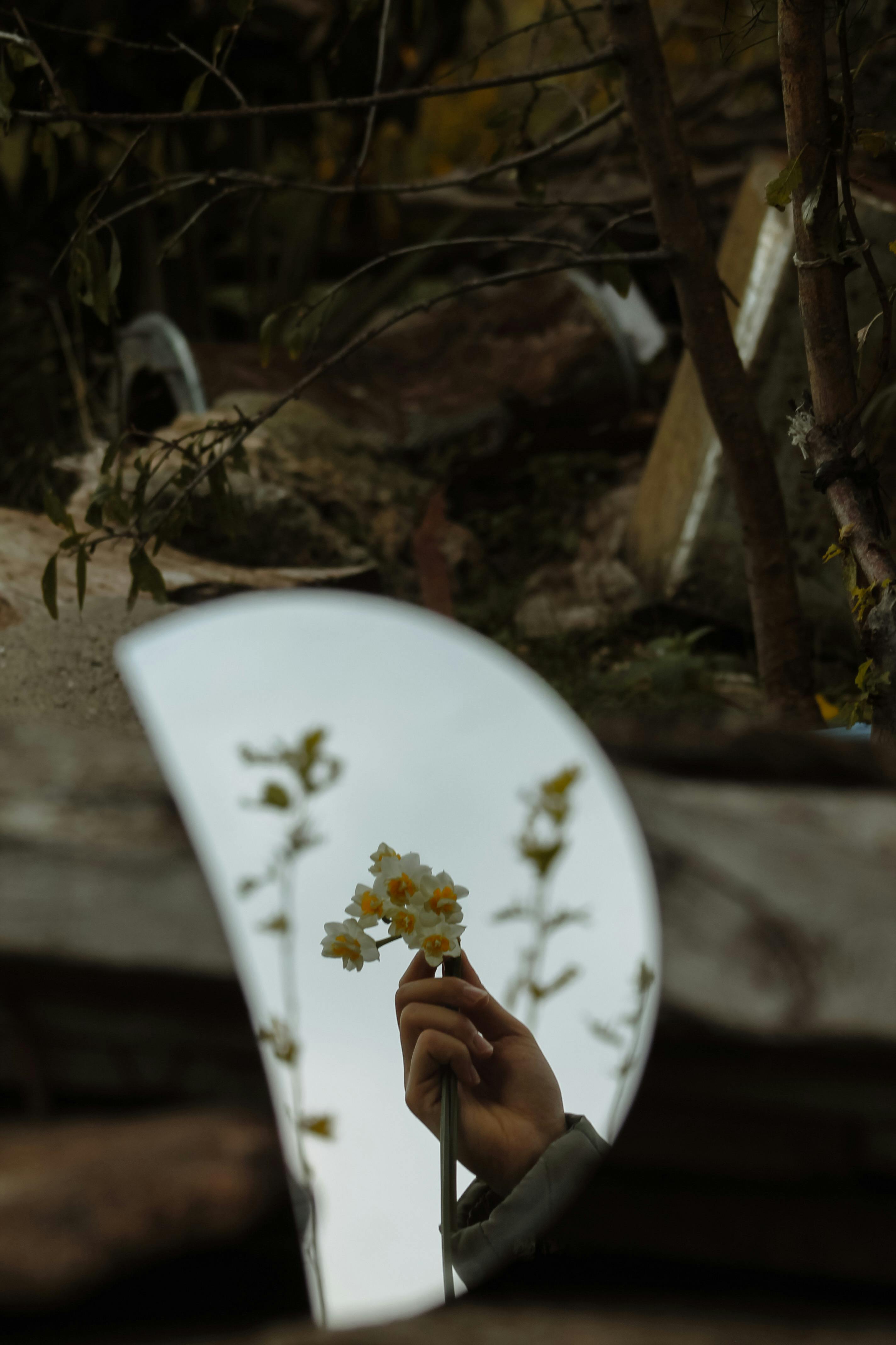 Mirror Reflection of Hand with Flowers · Free Stock Photo