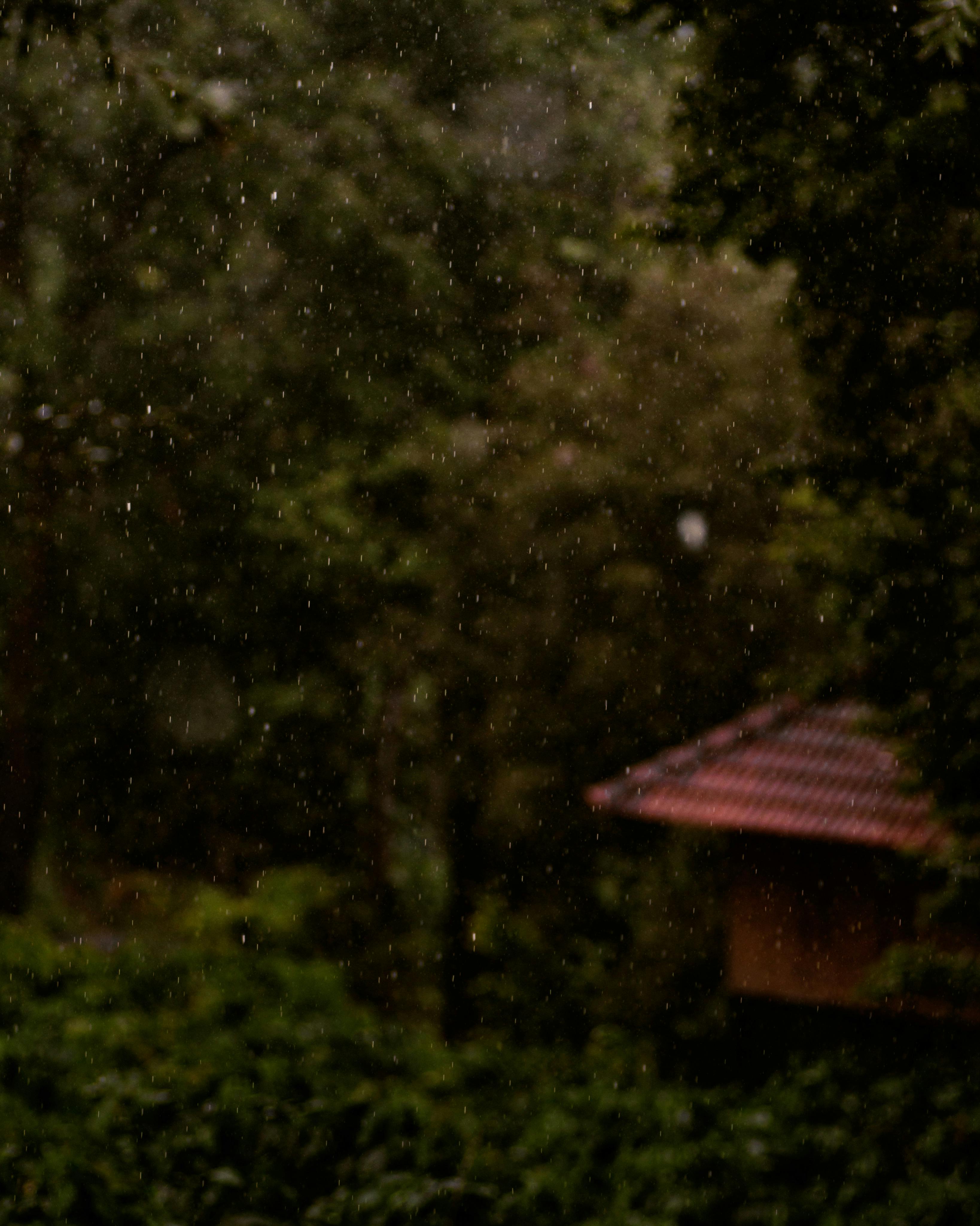Blurry Rain Photos, Download The BEST Free Blurry Rain Stock Photos ...