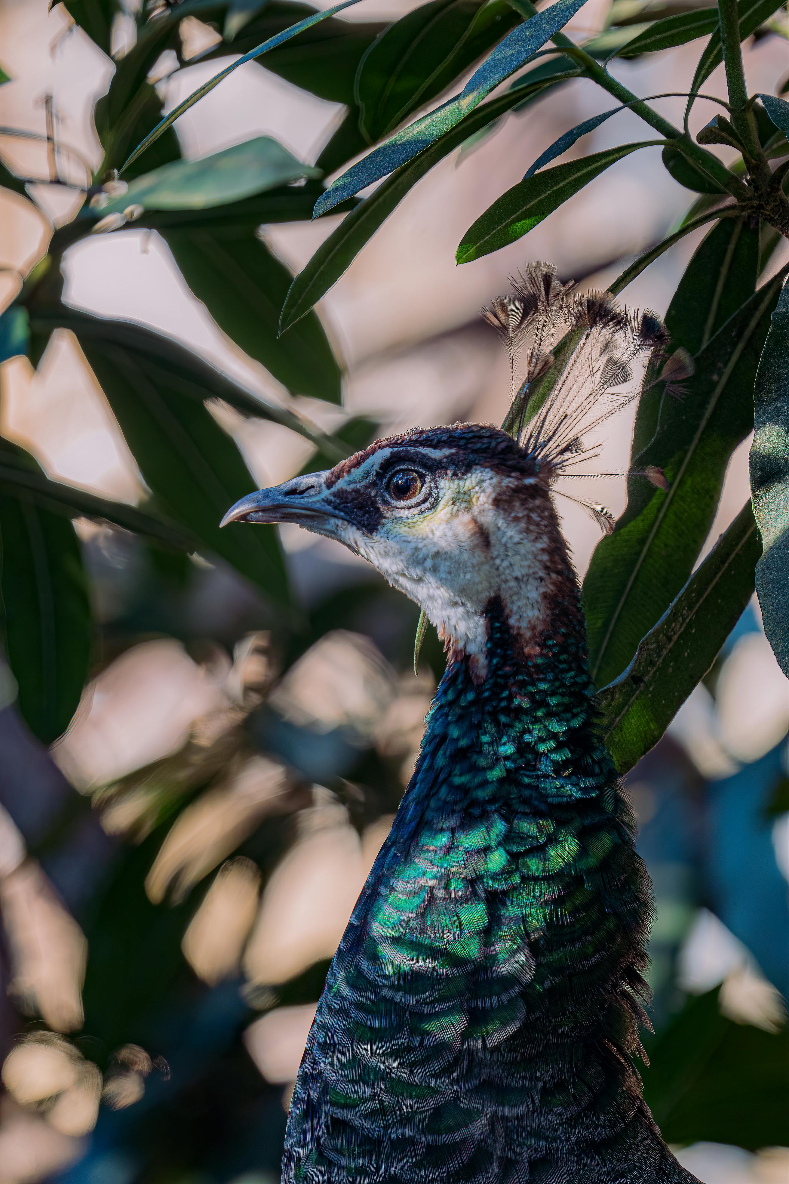 Jonathan Clark - Photography