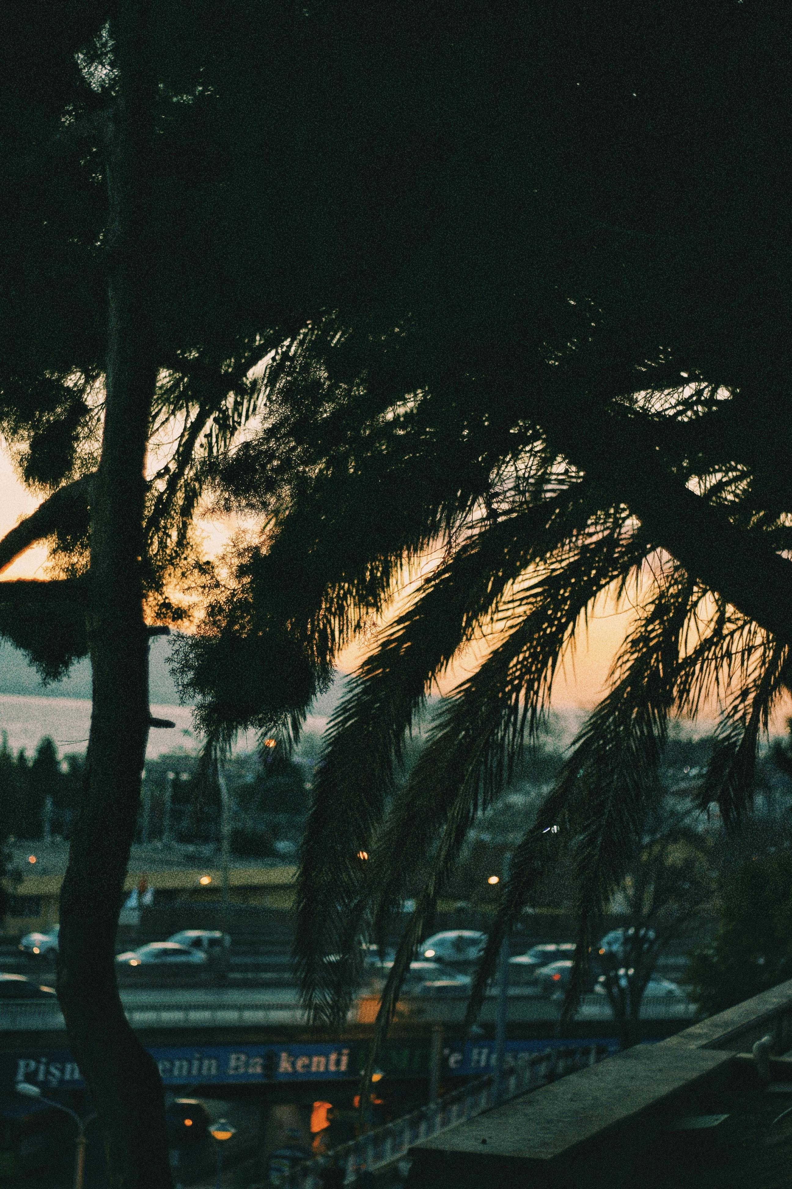 Dde Cars Photos, Download The BEST Free Dde Cars Stock Photos & HD Images