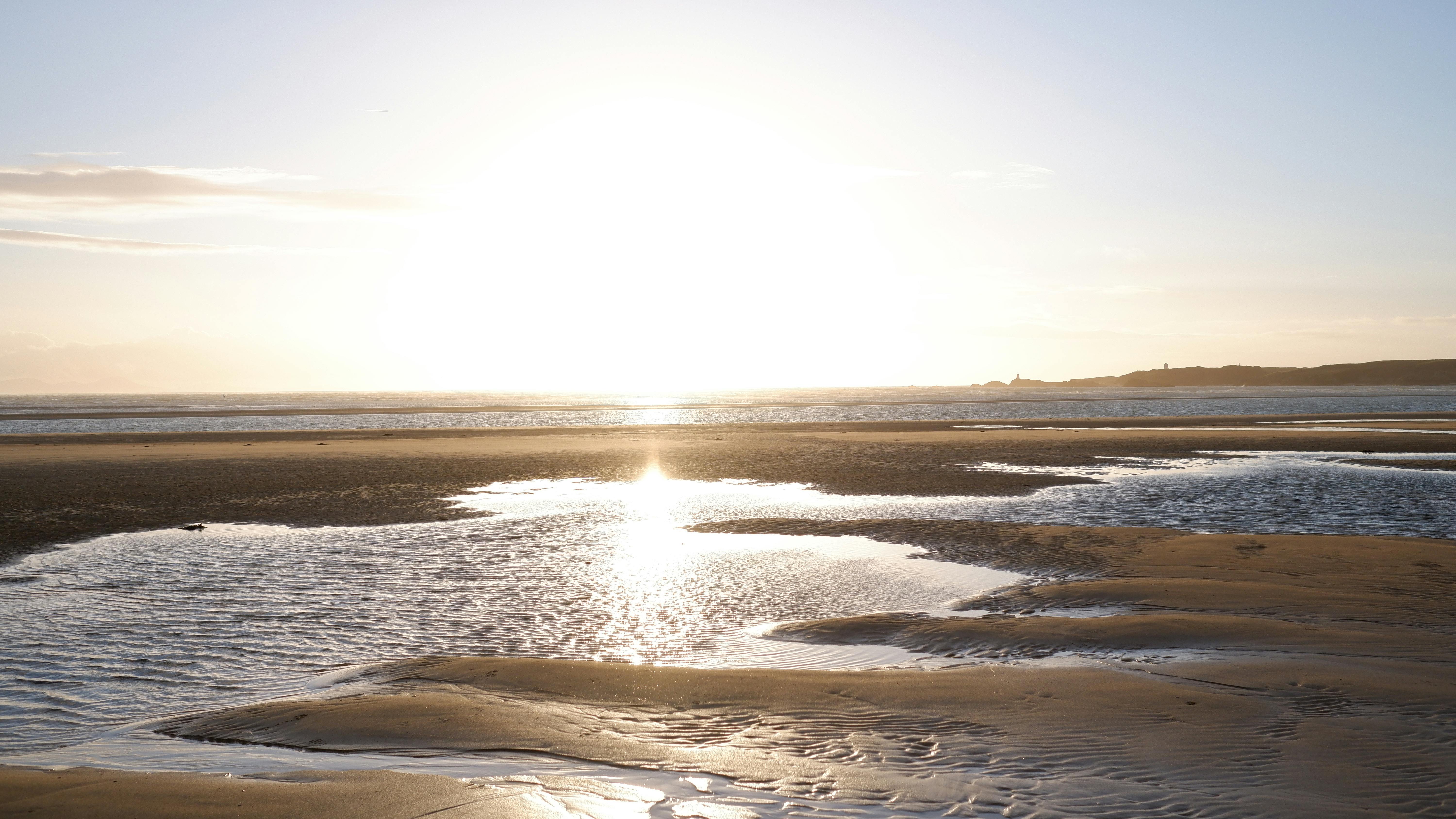 Sunlight on Seashore · Free Stock Photo