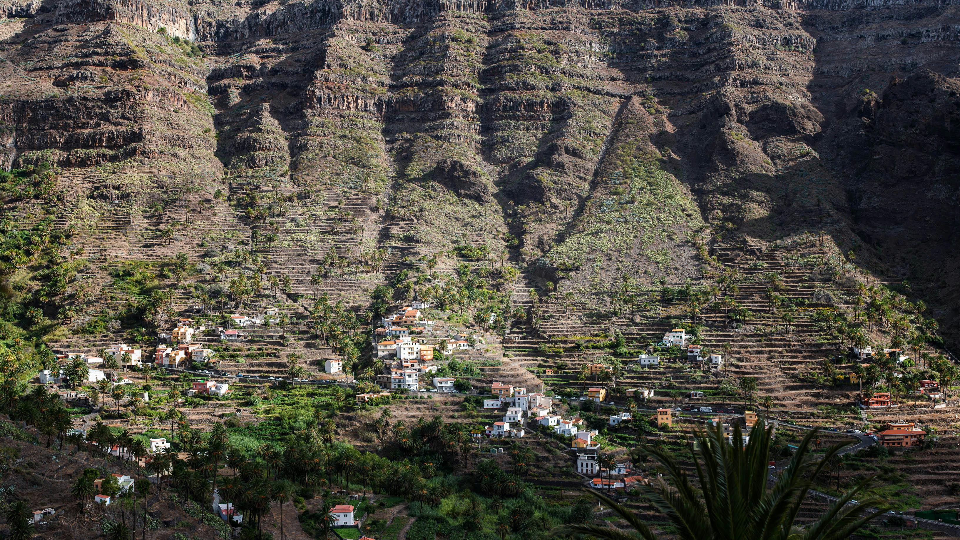 Death Fields Photos, Download The BEST Free Death Fields Stock Photos ...