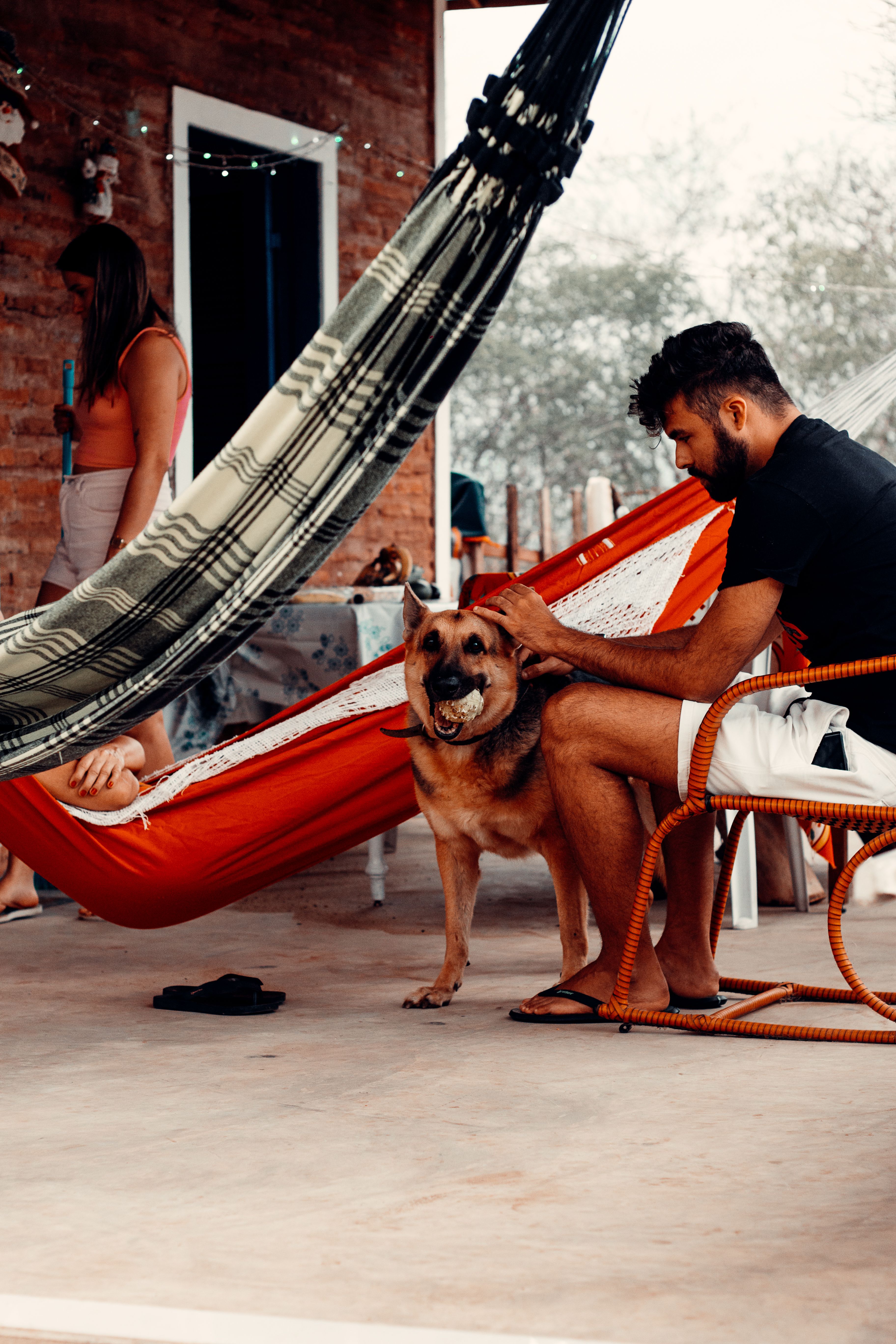 Man Training A German Shepherd Dog Free Stock Photo man-training-a-german-shepherd-dog-free-stock-photo