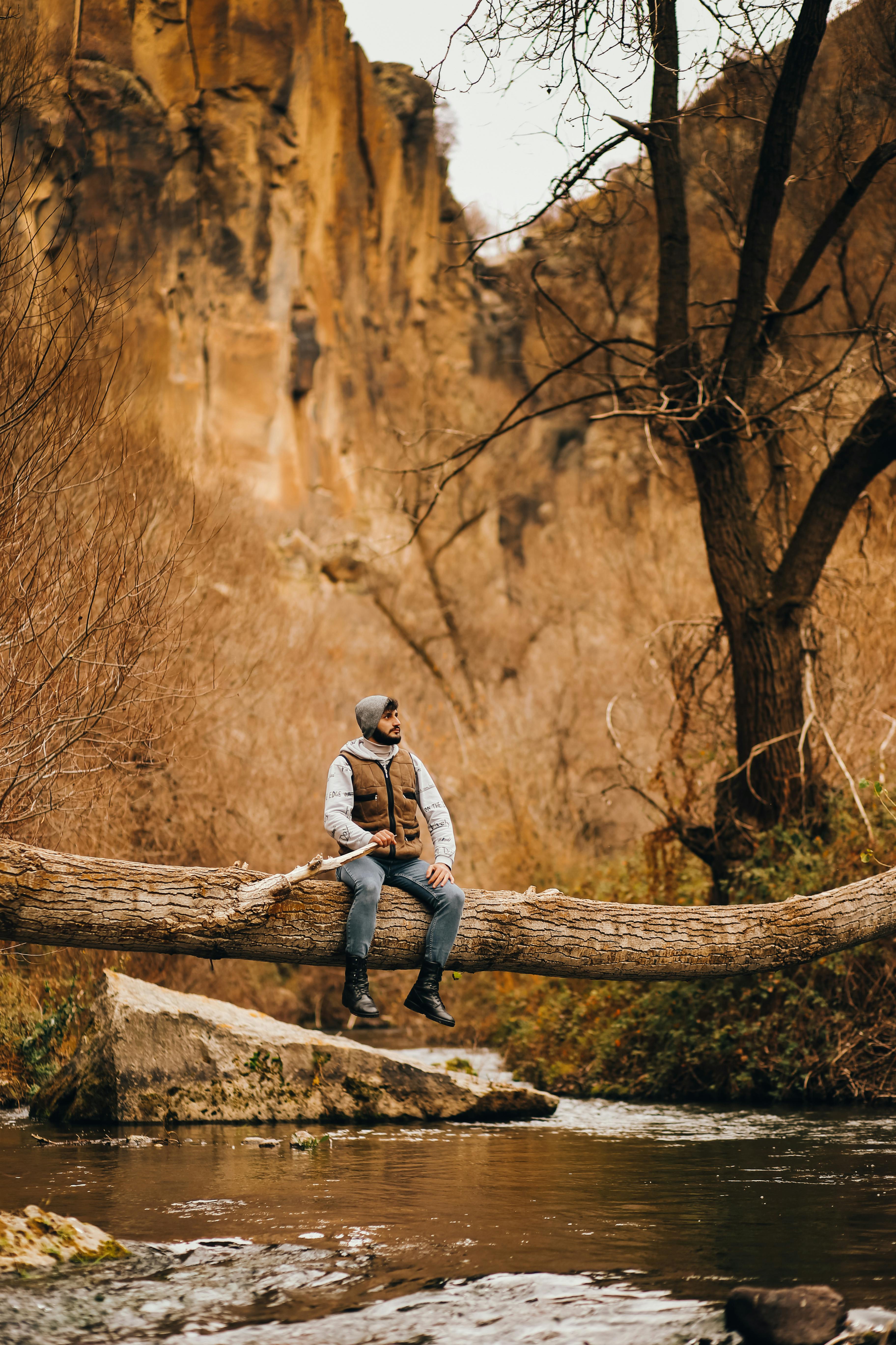 Felling Photos, Download The BEST Free Felling Stock Photos & HD Images