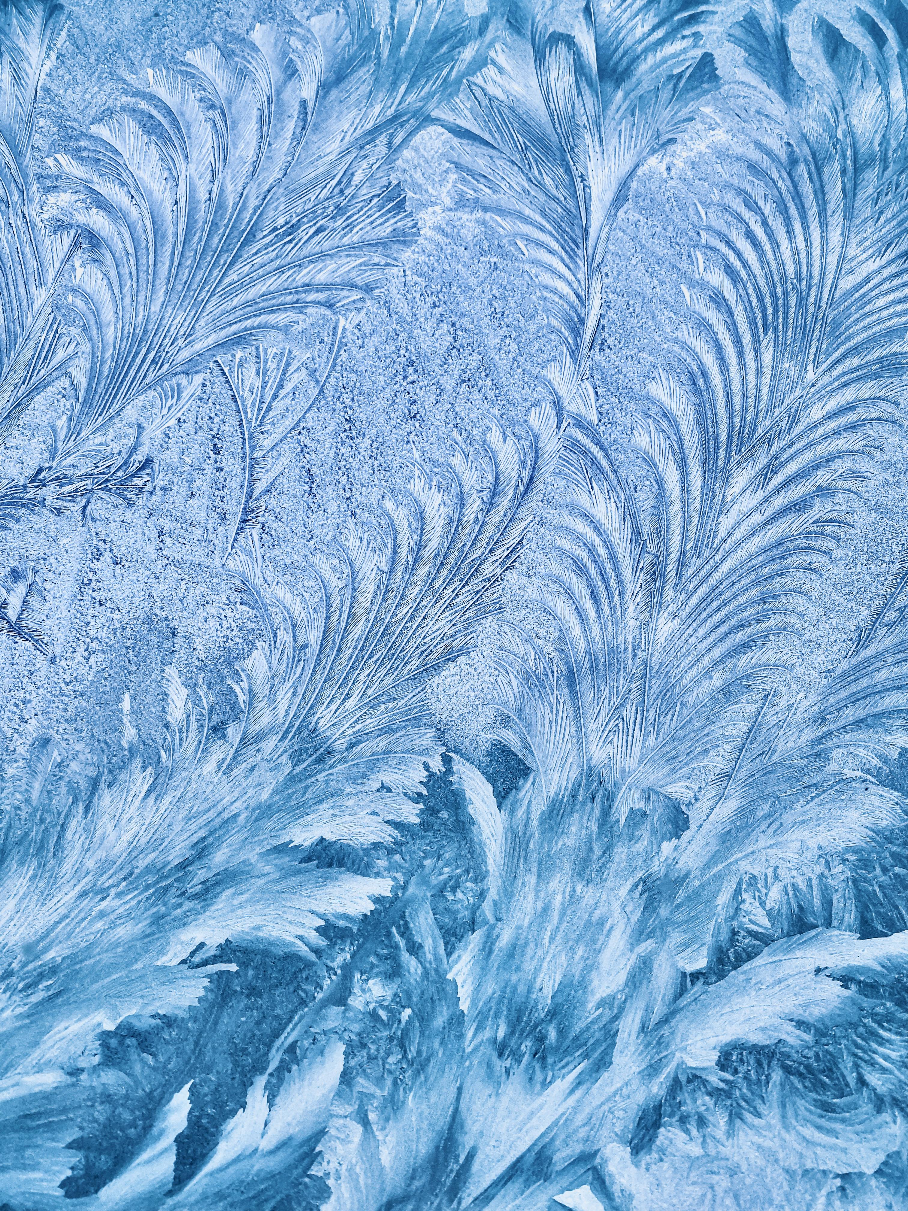 Frost Pattern · Free Stock Photo