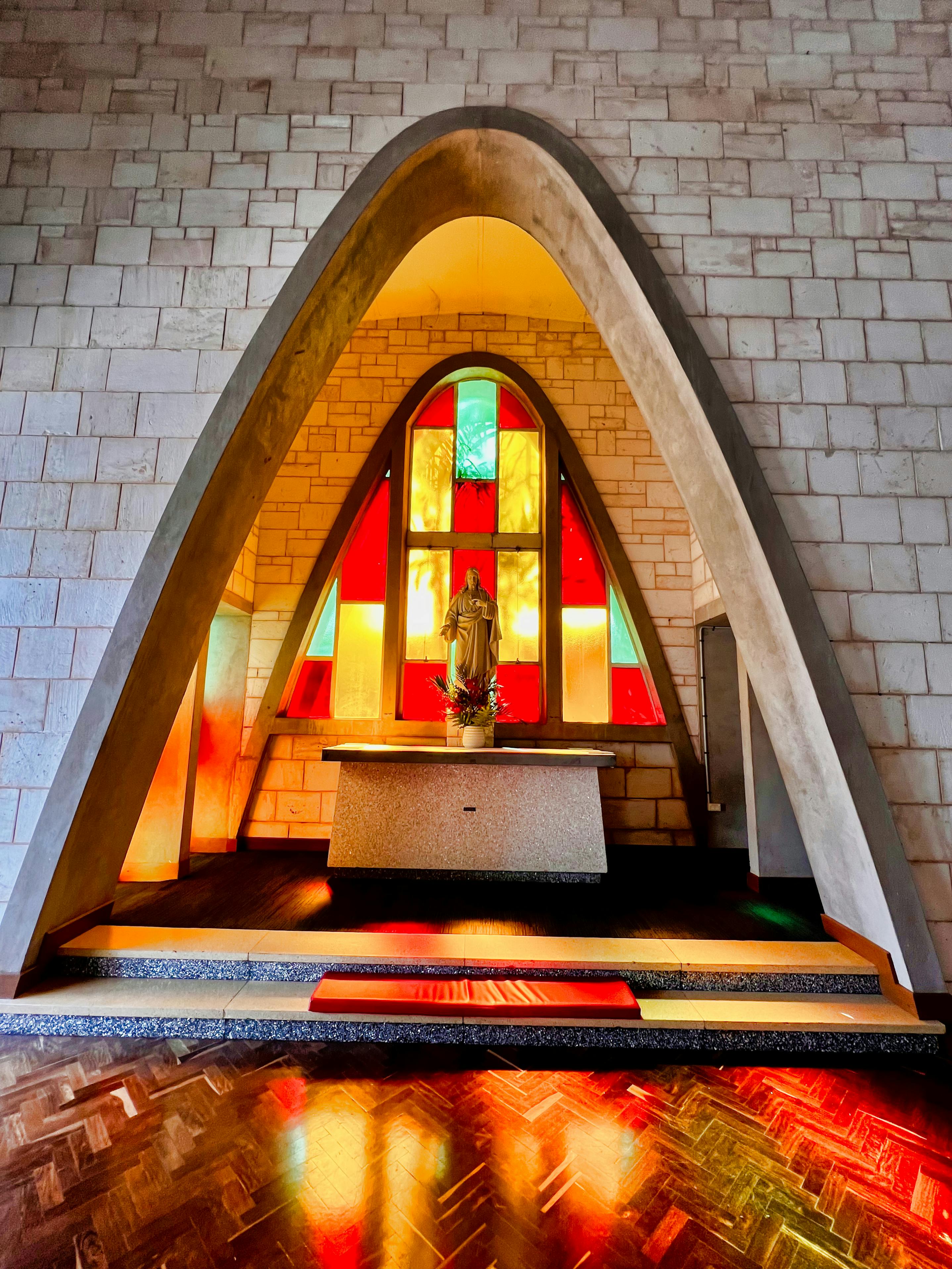 Allen Cullen - 사진