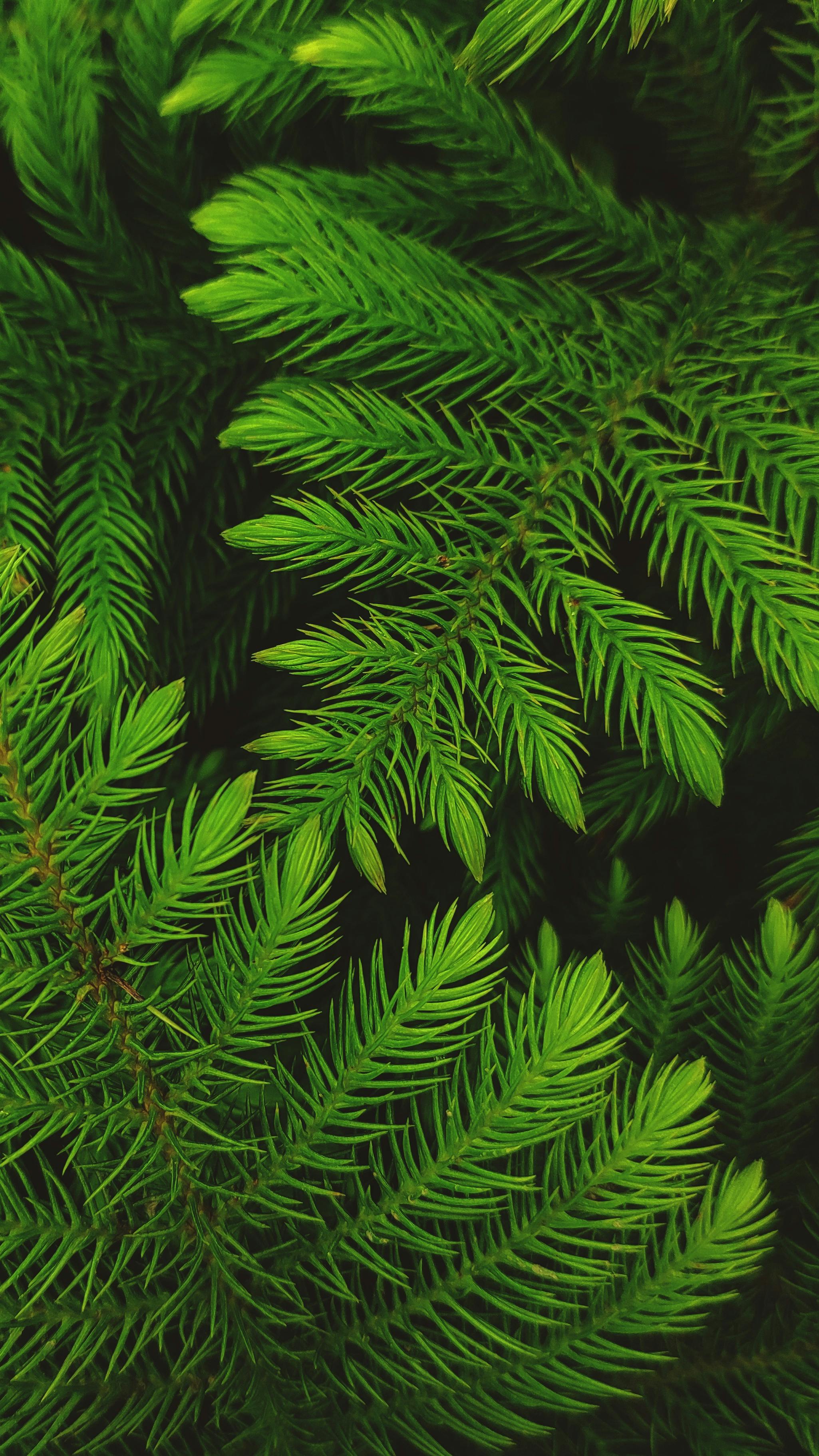 4k Wood Pattern Photos, Download The BEST Free 4k Wood Pattern Stock ...