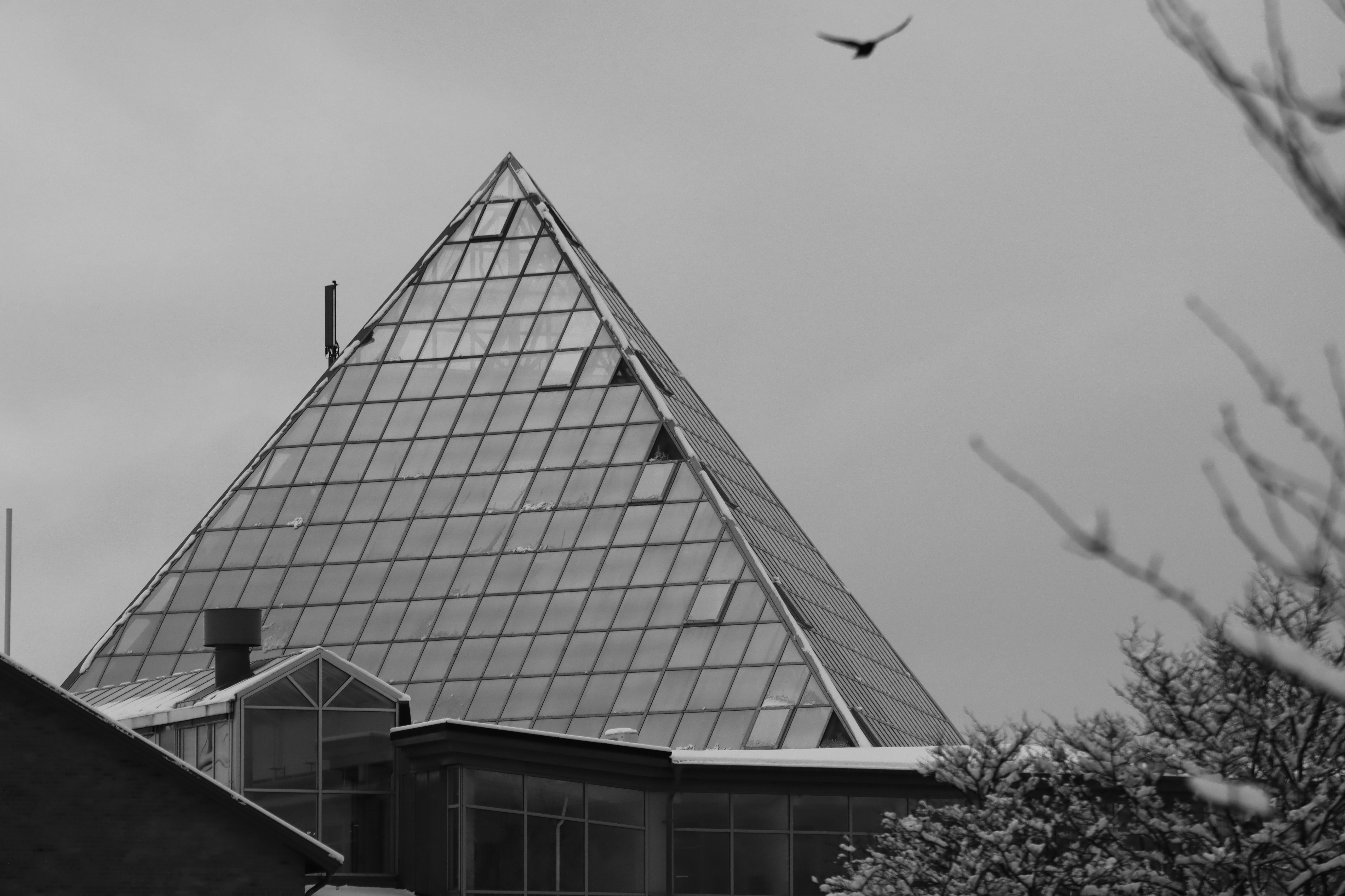 Black and White Photograph of a Cone Shape Roof · Free Stock Photo