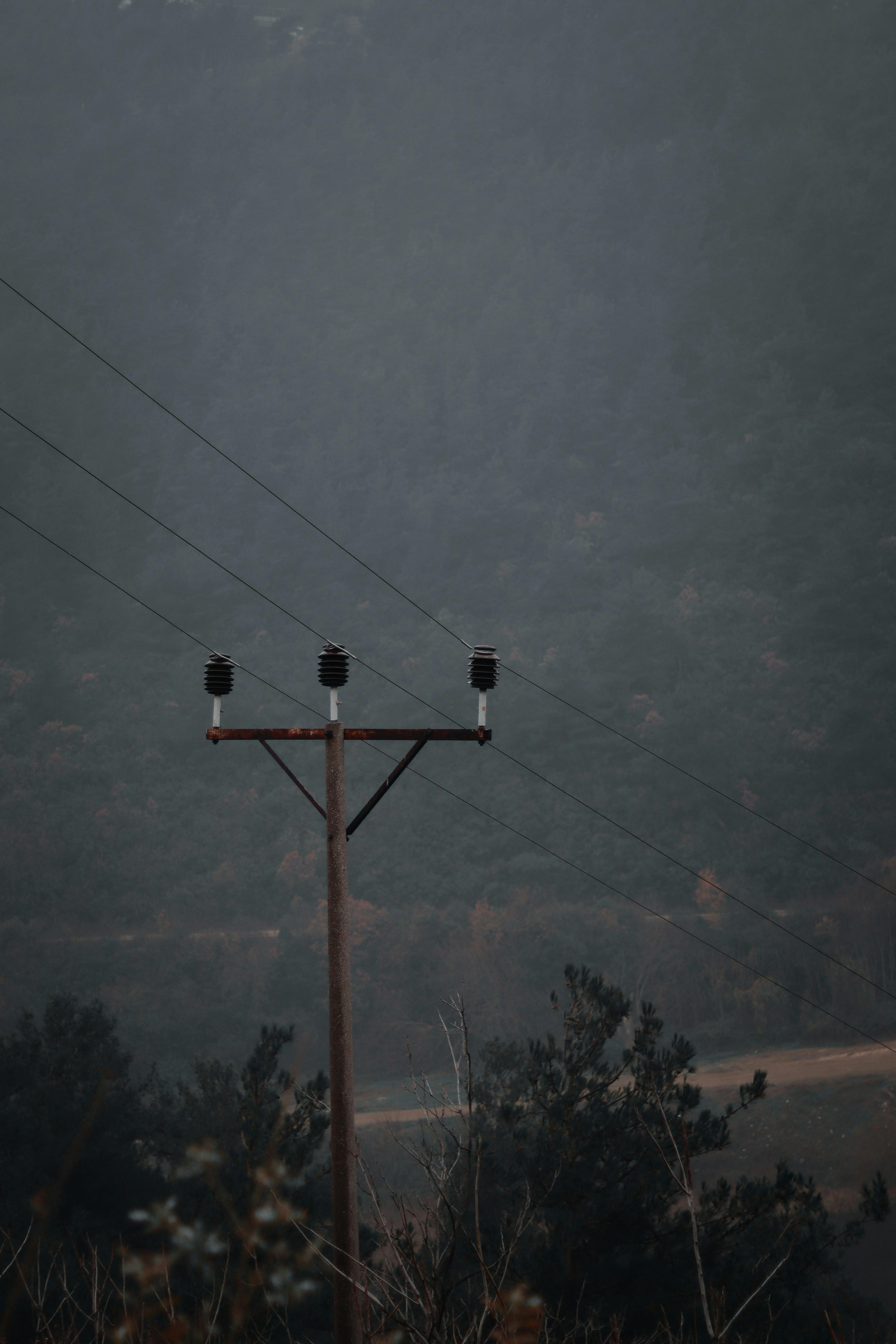Closeup of an Utility Pole in Mist · Free Stock Photo
