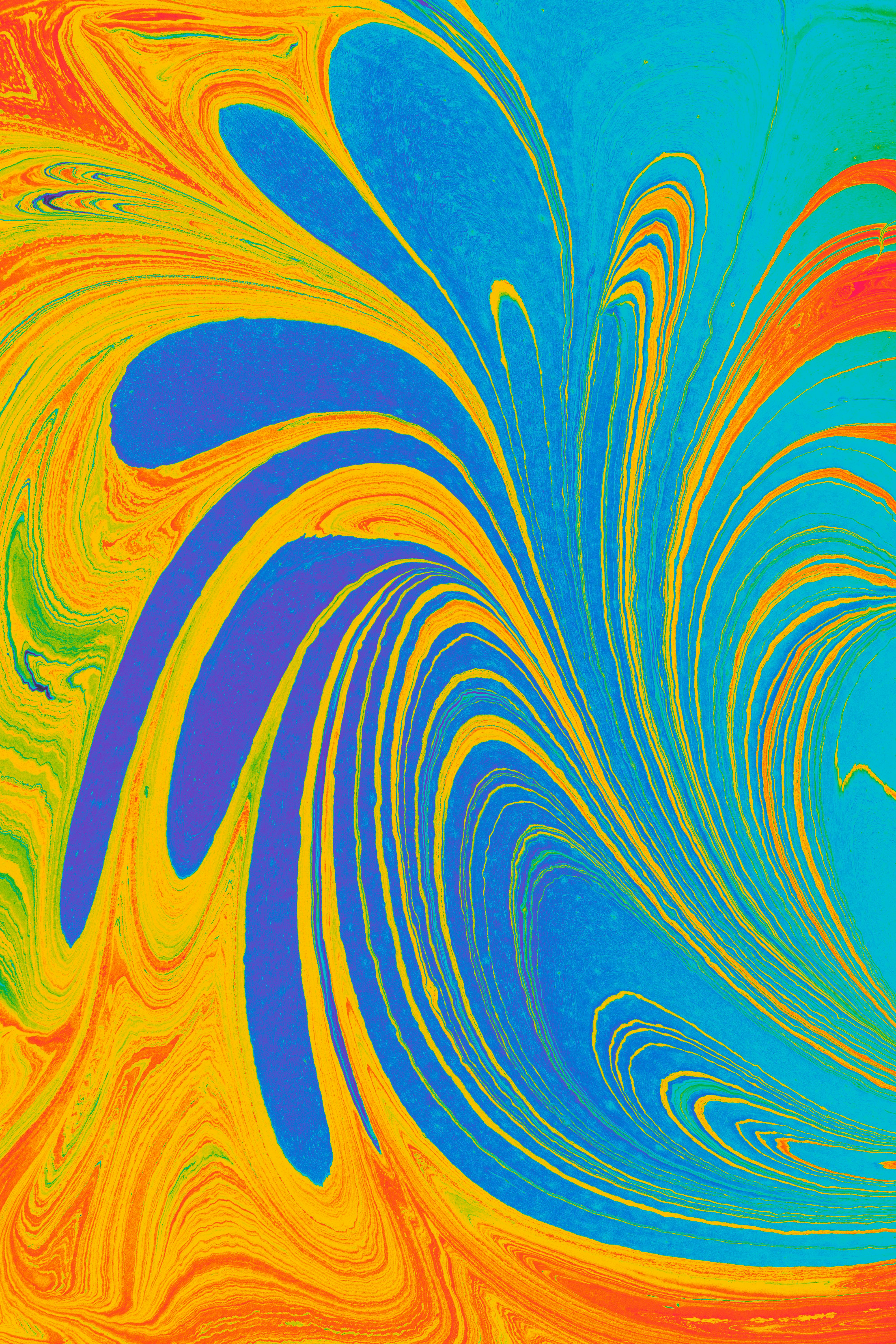 Color: Orange Photos, Download The BEST Free Color: Orange Stock Photos ...